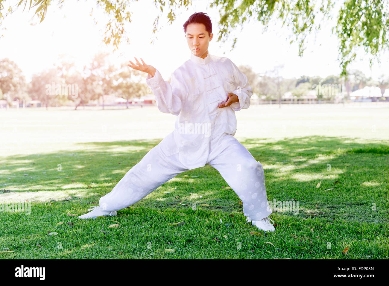 Handsome man practicing thai chi in the park in the summertime Stock ...