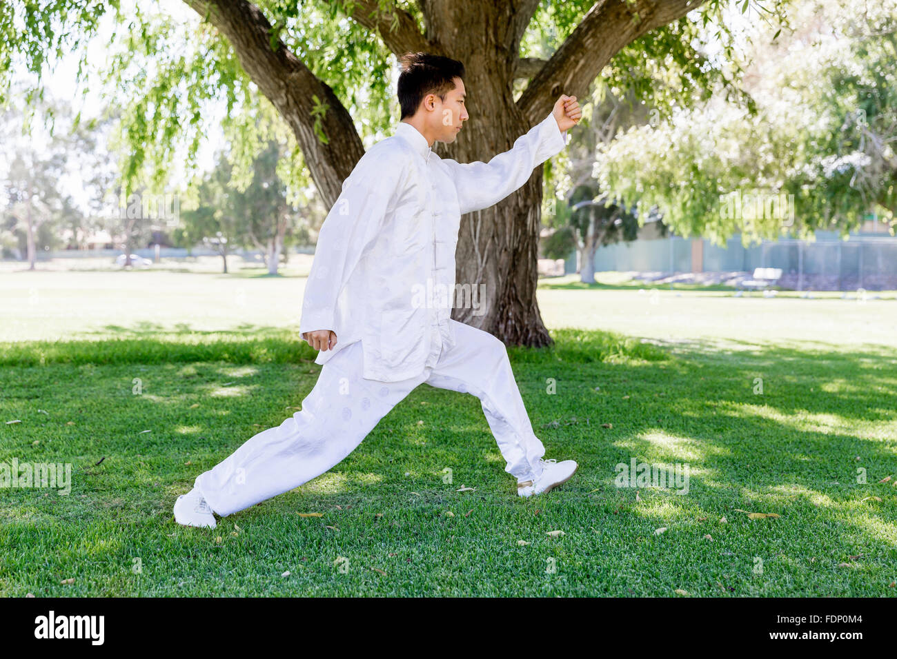 Handsome man practicing thai chi in the park in the summertime Stock ...