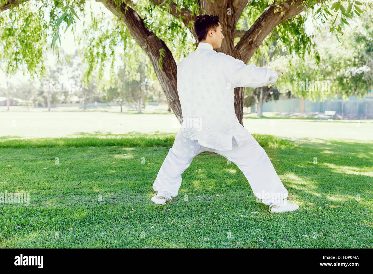 Handsome man practicing thai chi in the park in the summertime Stock ...