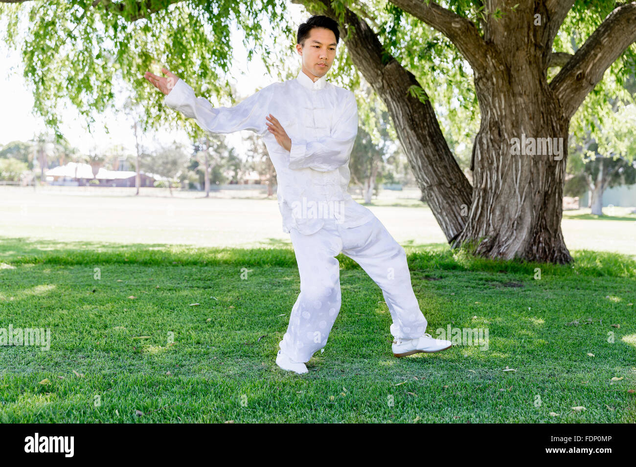 Handsome man practicing thai chi in the park in the summertime Stock ...