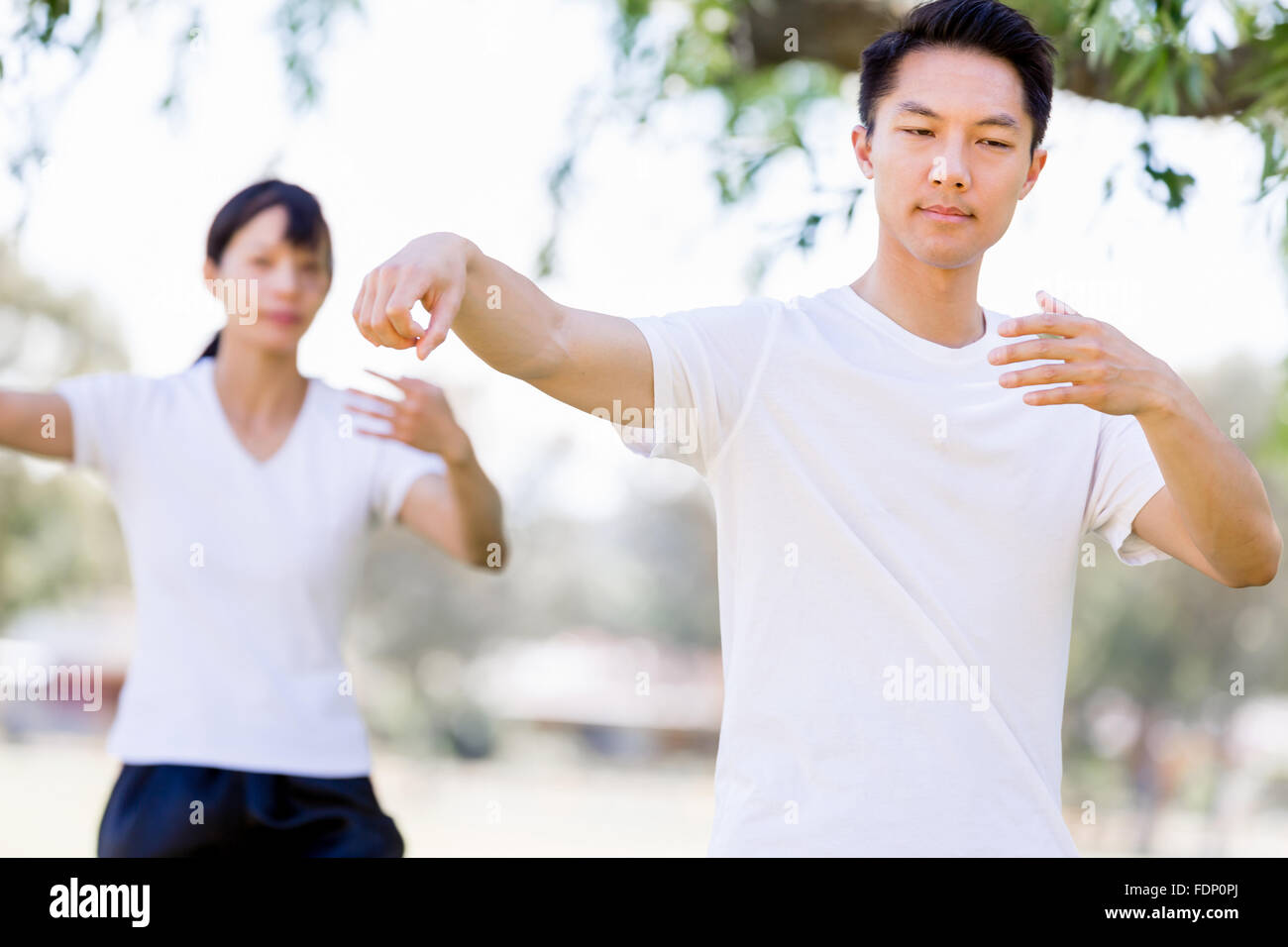 People practicing thai chi in the park in the summertime Stock Photo ...