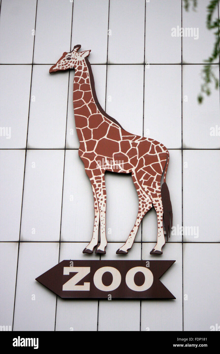 Berlin zoo giraffe hi-res stock photography and images - Alamy