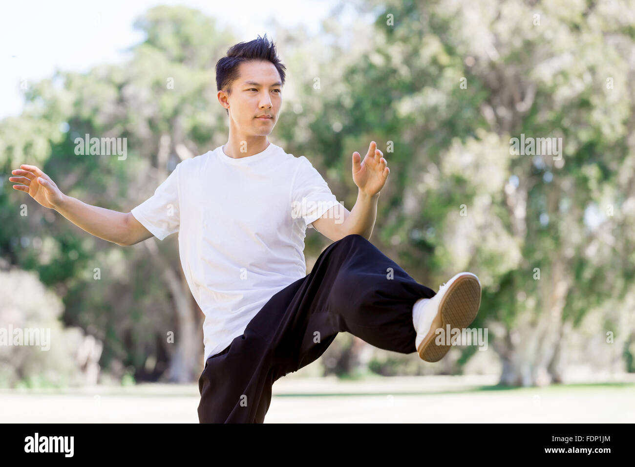 Handsome man practicing thai chi in the park in the summertime Stock ...
