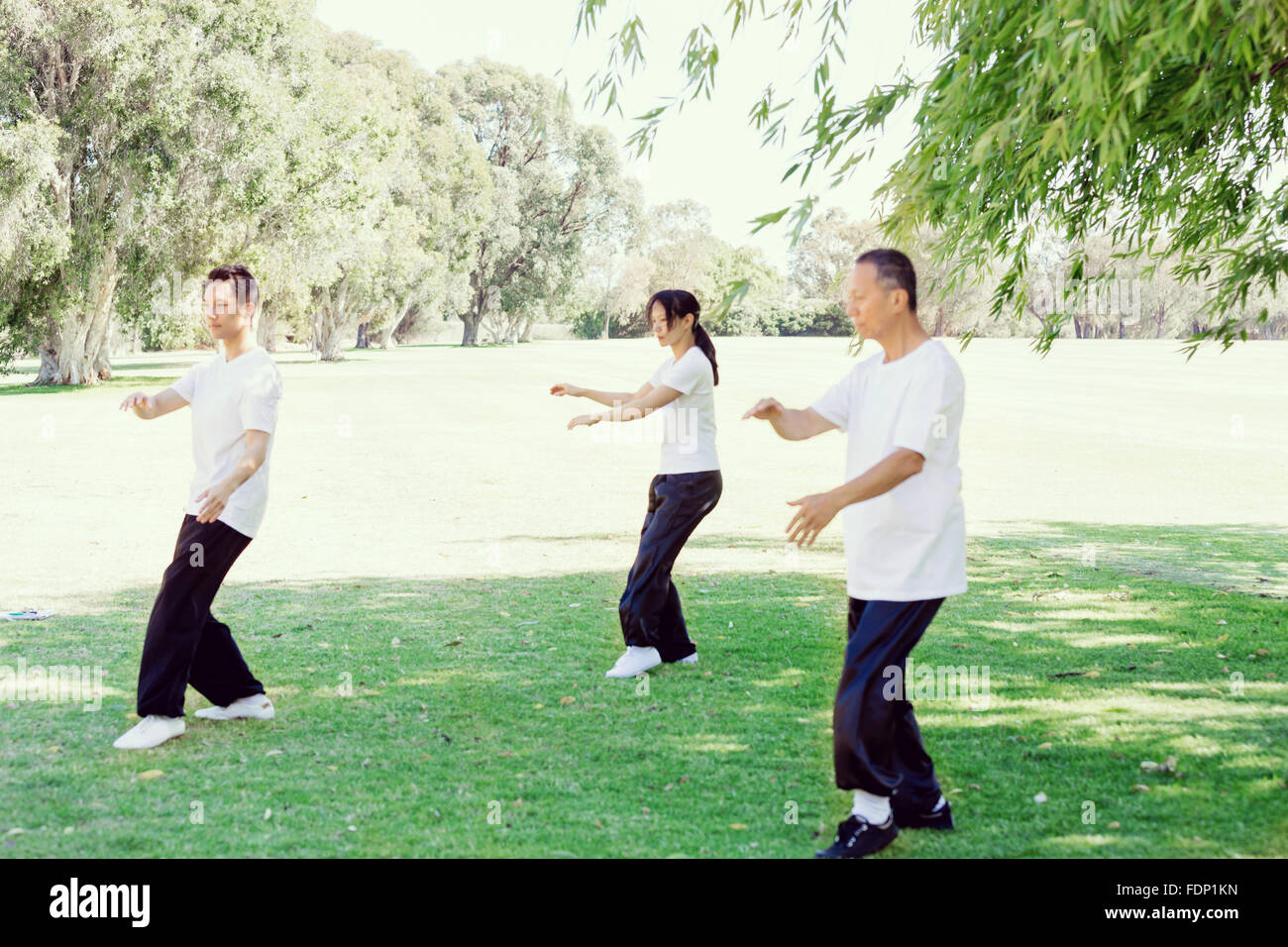 People practicing thai chi in the park in the summertime Stock Photo ...