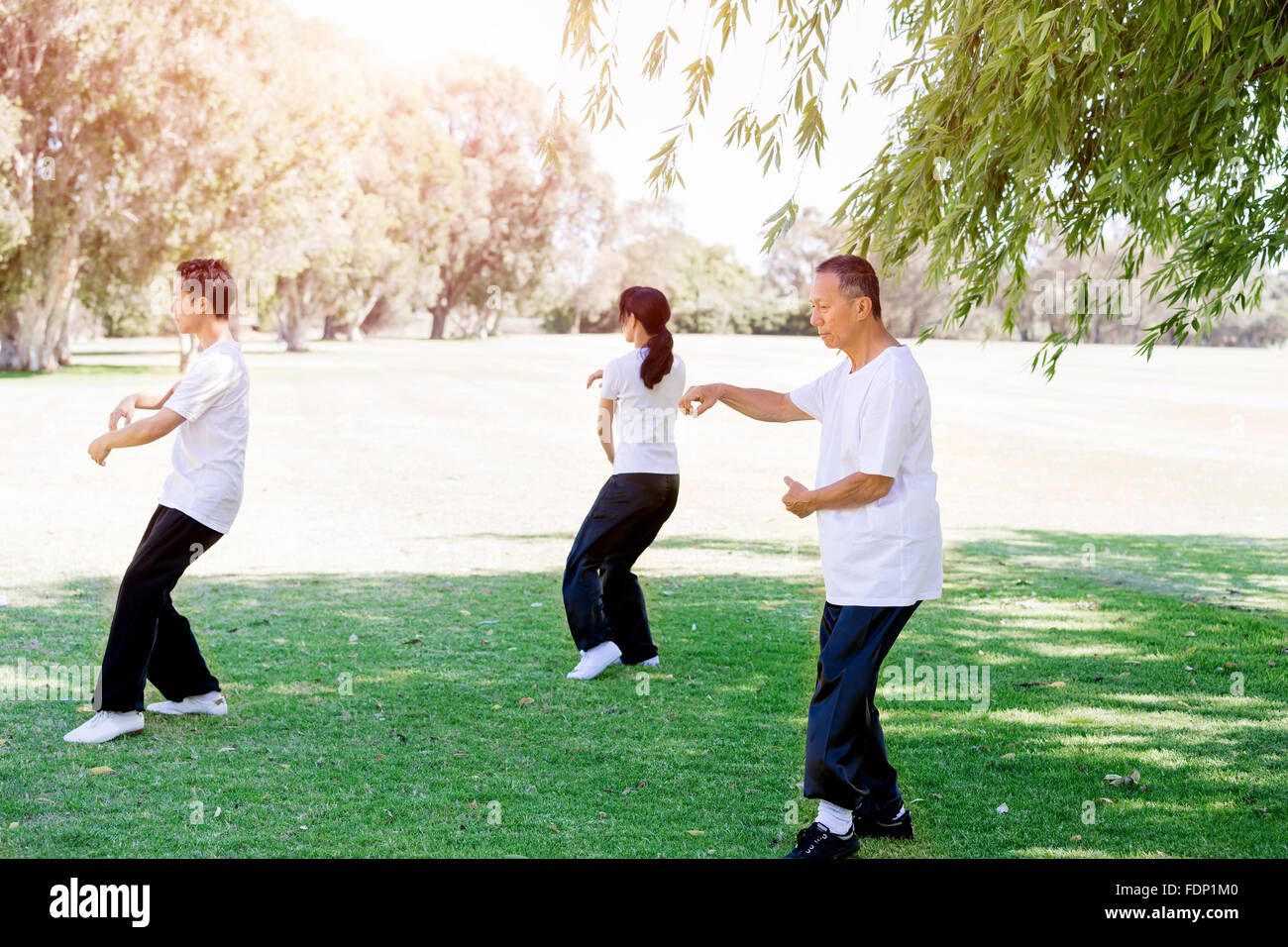 People practicing thai chi in the park in the summertime Stock Photo ...