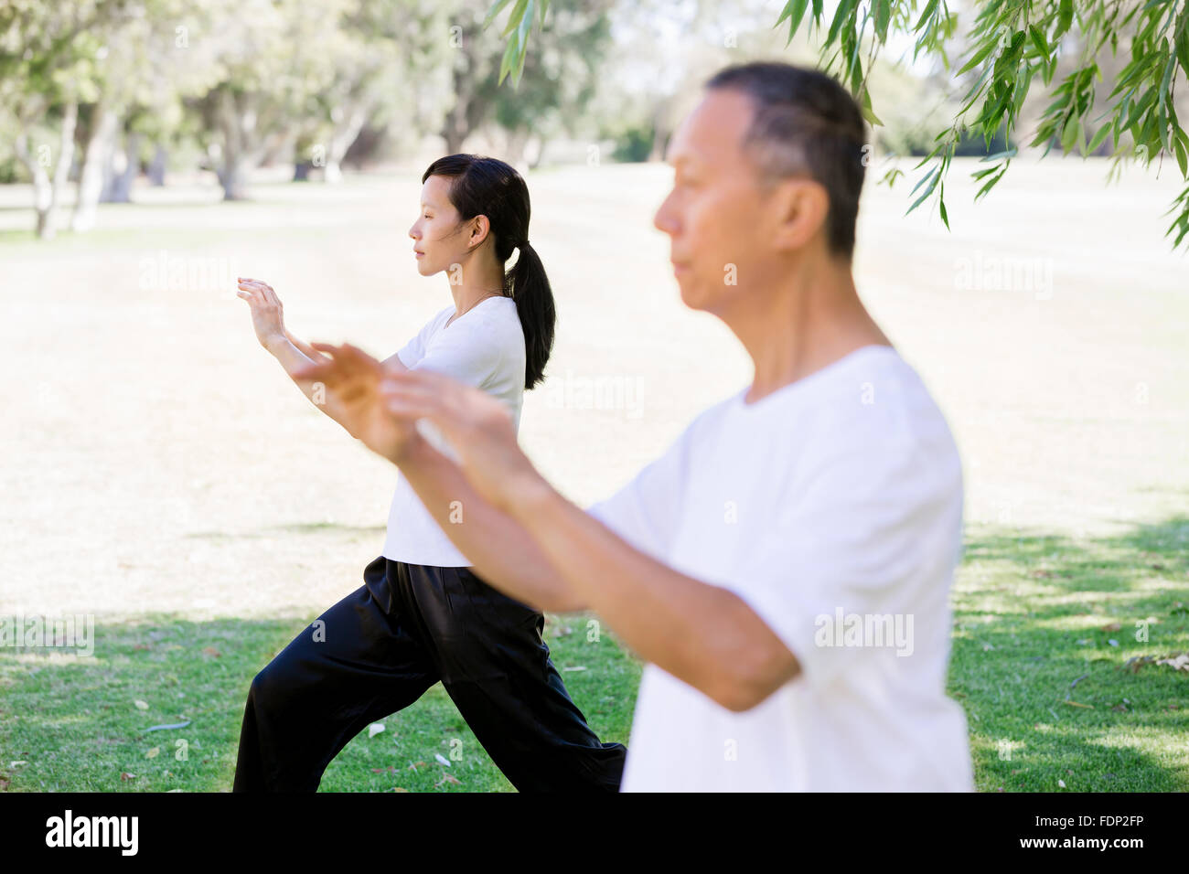 People practicing thai chi in the park in the summertime Stock Photo ...