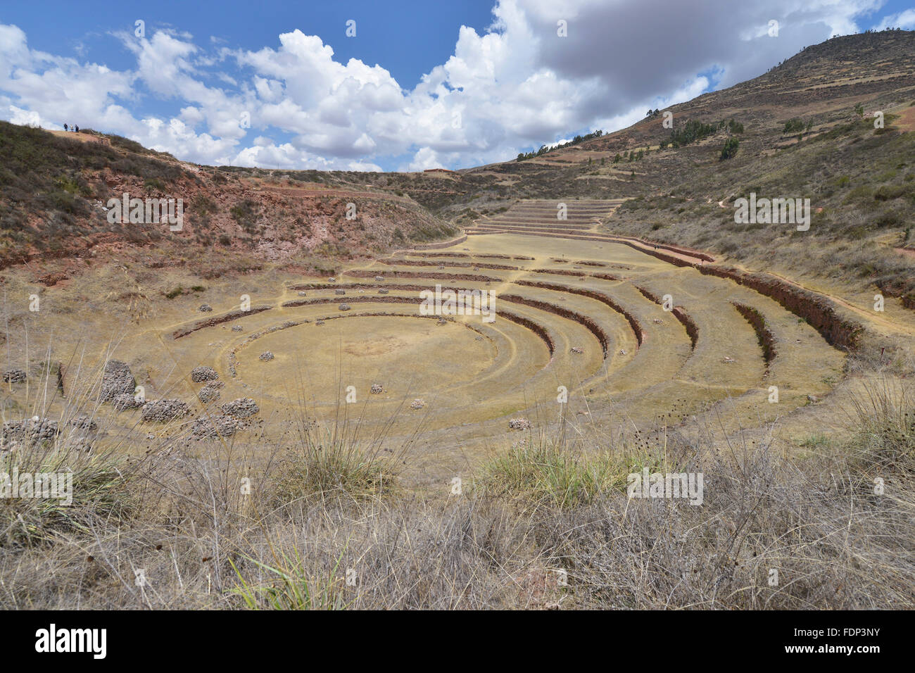 Inca terrace ruins in Moray, Cuzco, Peru Stock Photo - Alamy