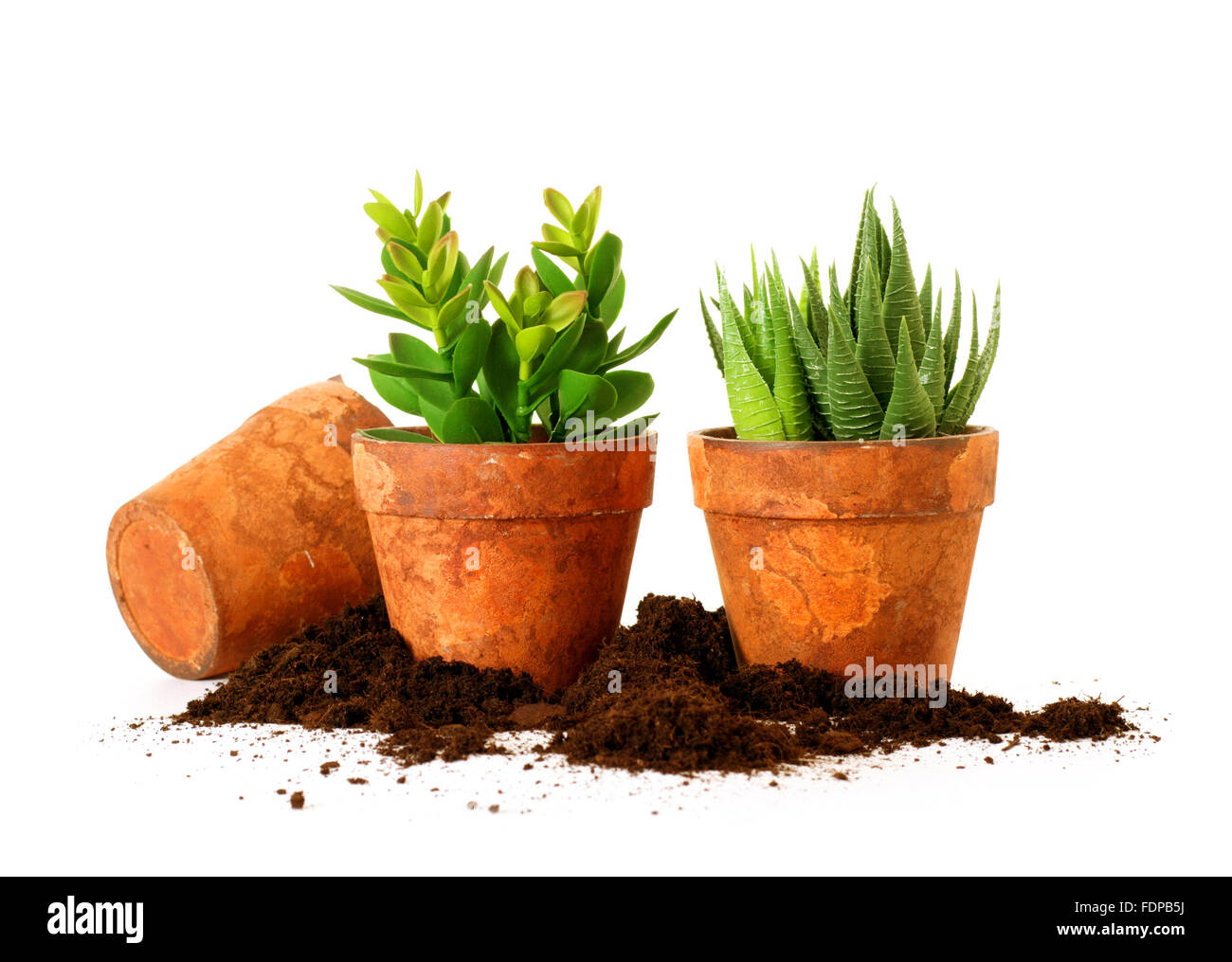 Overturned Plant Pot High Resolution Stock Photography and Images - Alamy