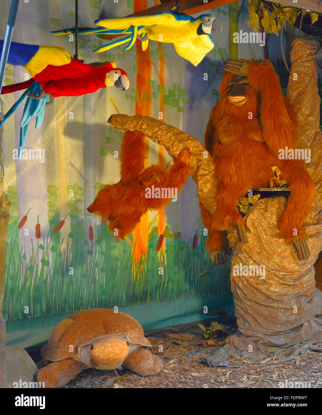 Gorilla display hi-res stock photography and images - Alamy