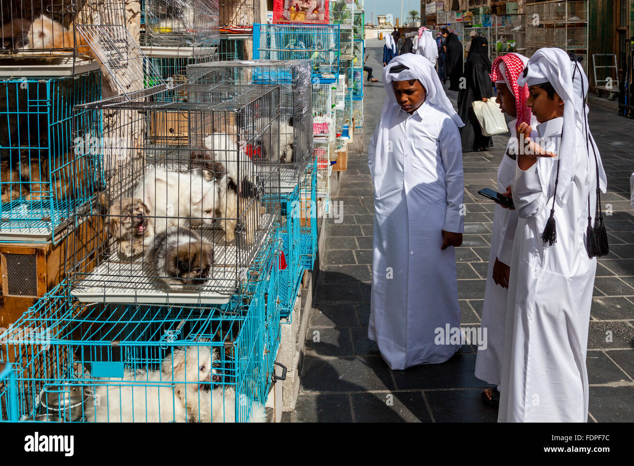 Local Boys Visiting The Animal Market, Souk Waqif, Doha, Qatar Stock ...