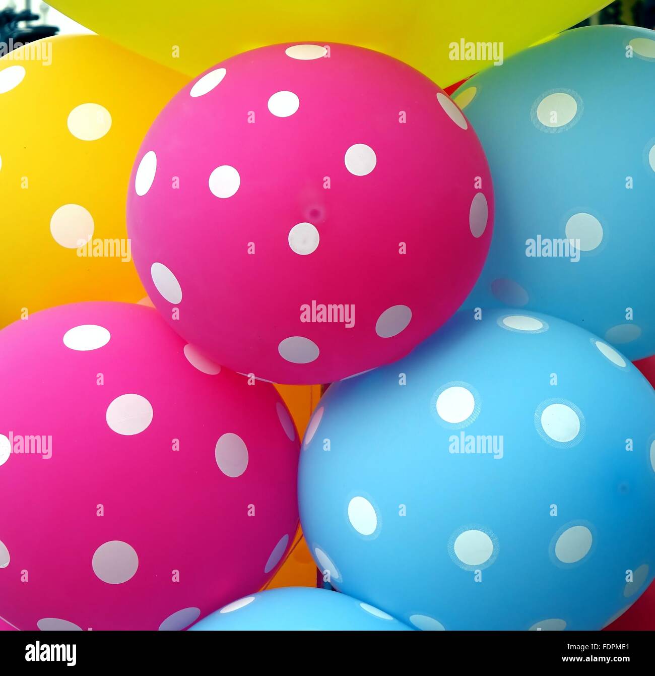 Colorful Balloons in bright colors create a happy atmosphere Stock ...