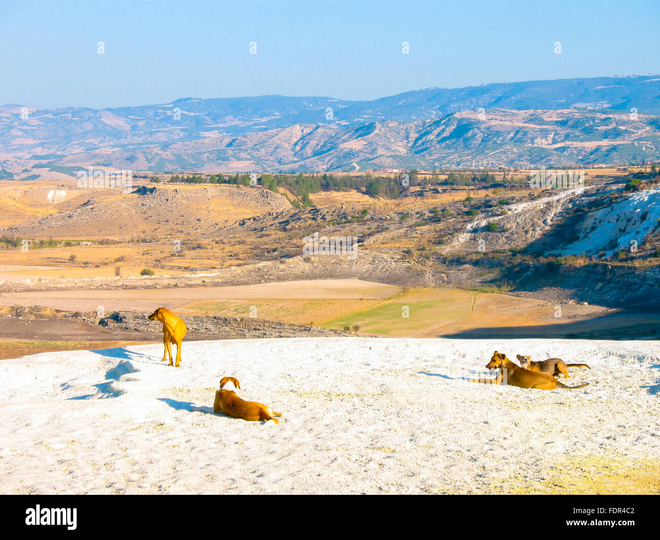 Travertines of Pamukkale, Turkey, UNESCO World heritage Stock Photo - Alamy