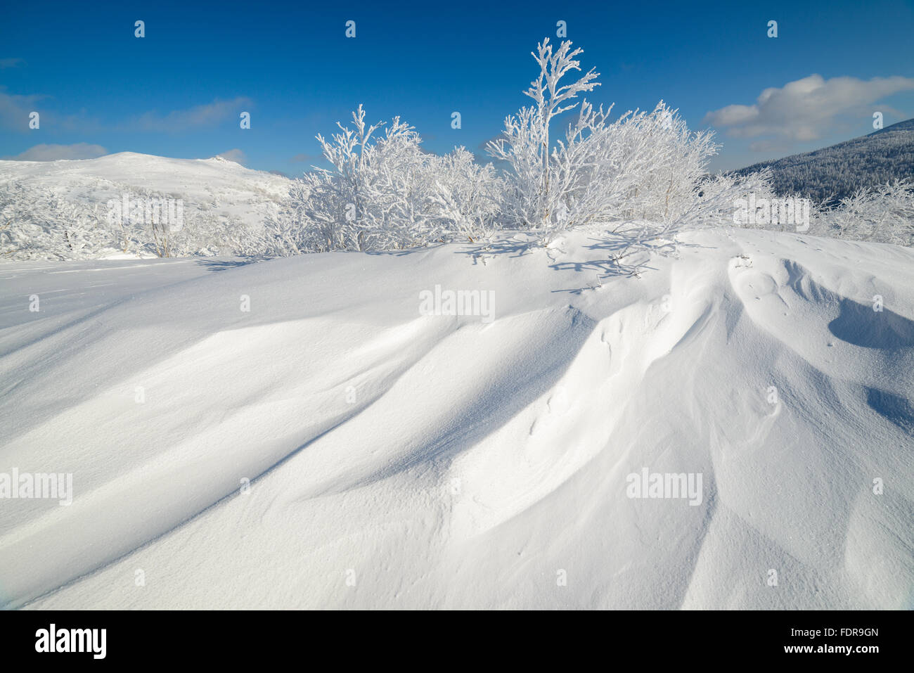 Winter in the mountains, in the forest. Sakhalin Island, Russia Stock ...