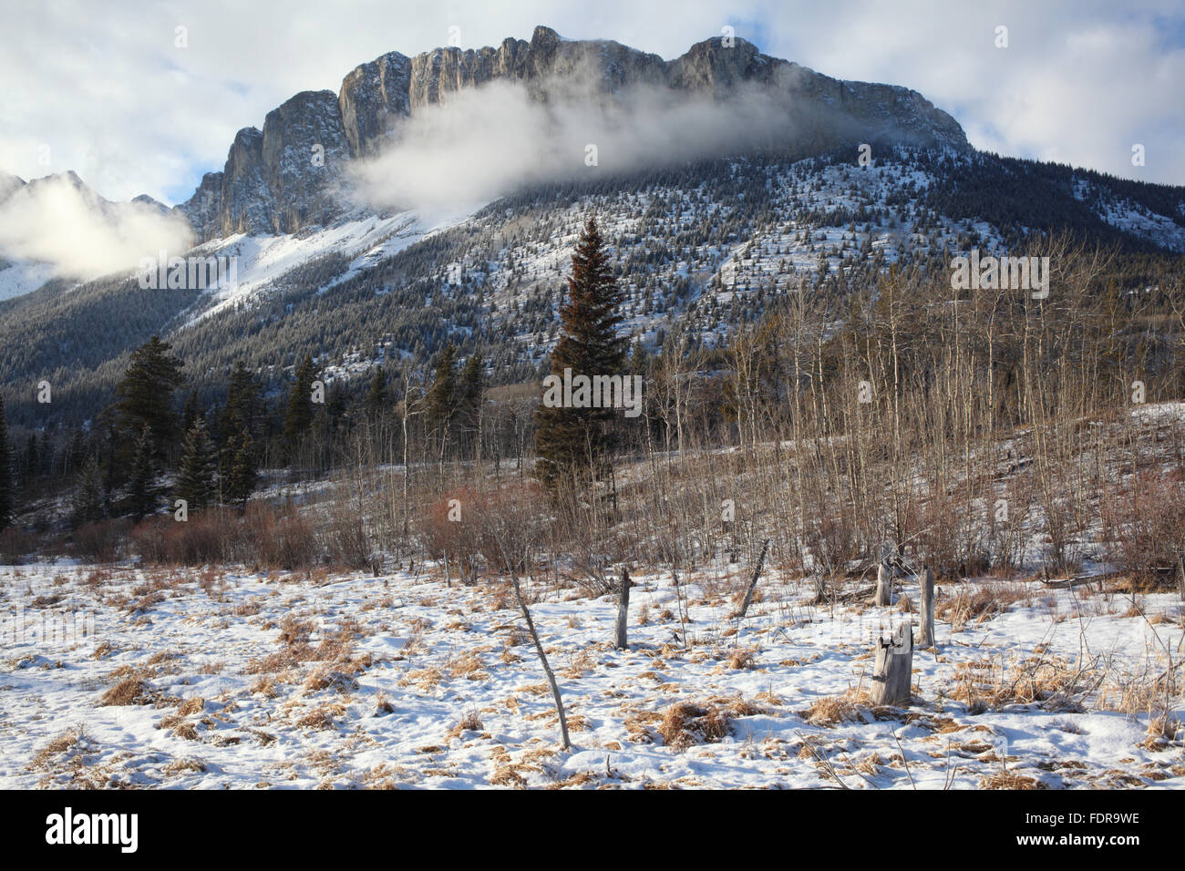Cloudy Mount Yamnuska in Alberta Stock Photo - Alamy