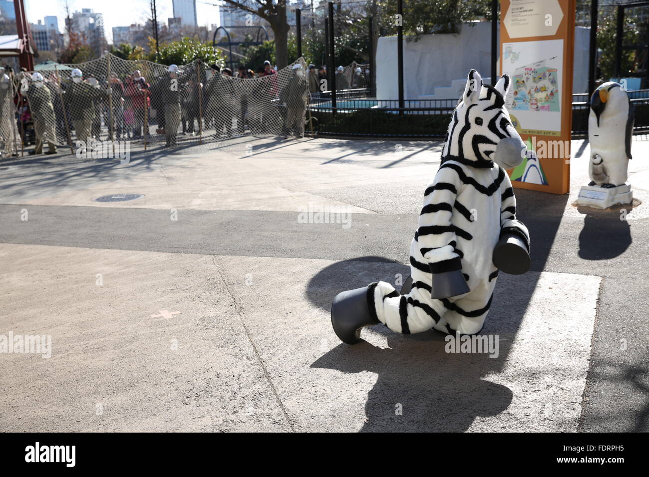 Zebra zoo drill hi-res stock photography and images - Alamy