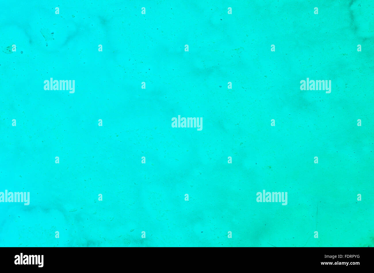 Turquoise colour background hi-res stock photography and images - Alamy