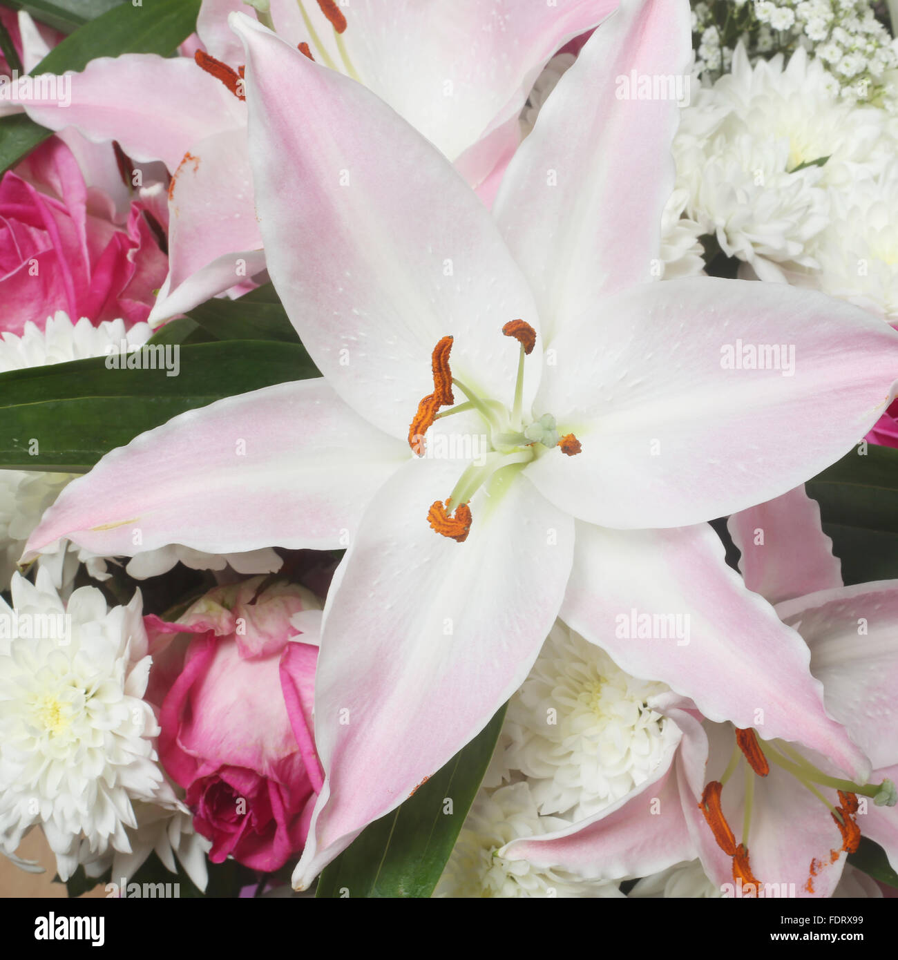 Bouquet of flowers close up view Stock Photo - Alamy