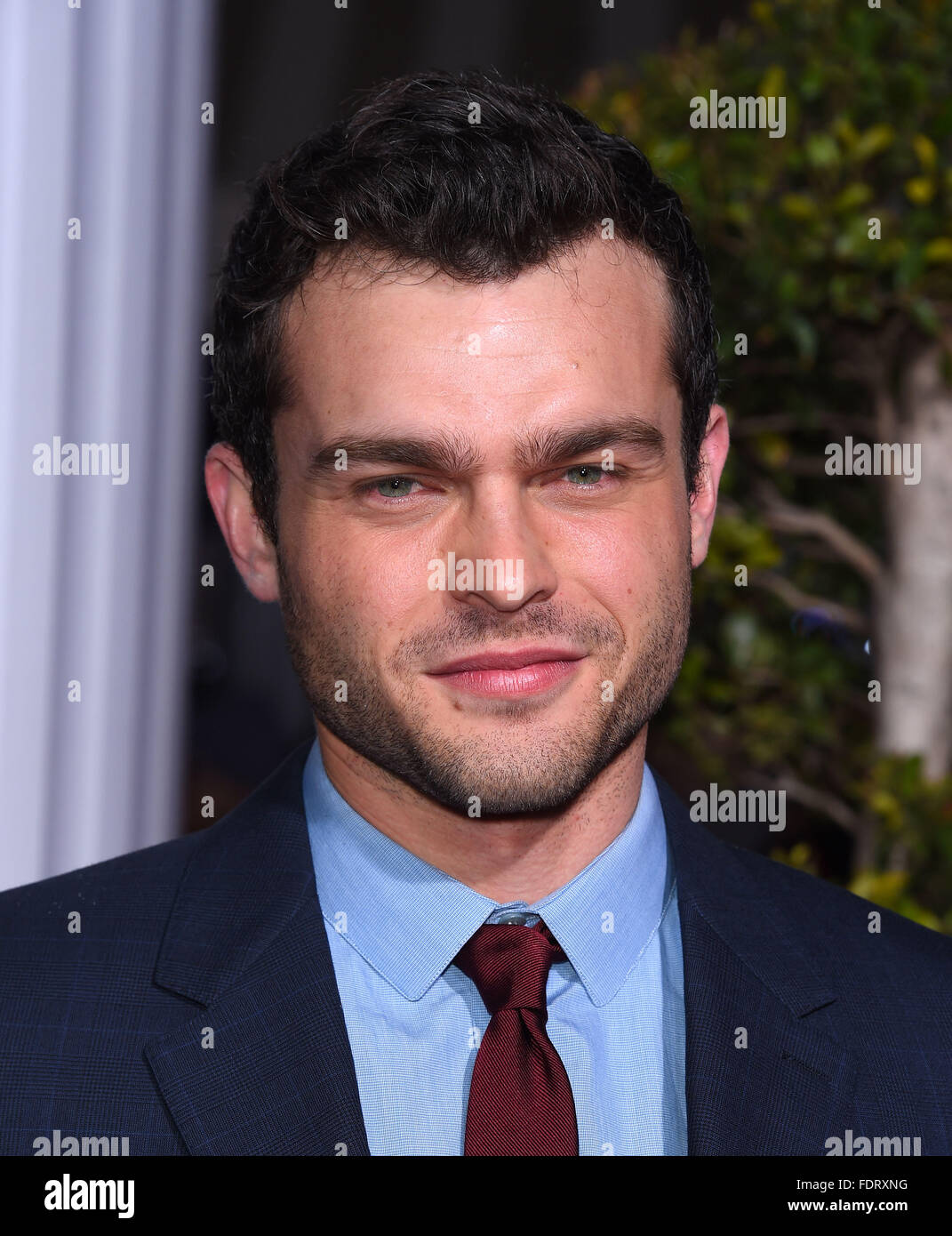Westwood, California, USA. 1st Feb, 2016. Alden Ehrenreich arrives for ...
