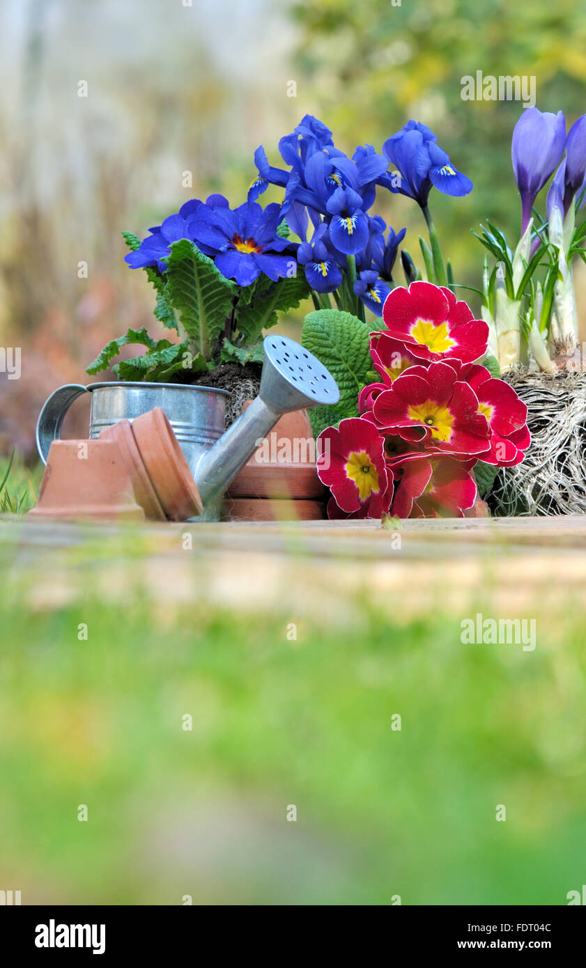 Ground garden hi-res stock photography and images - Alamy