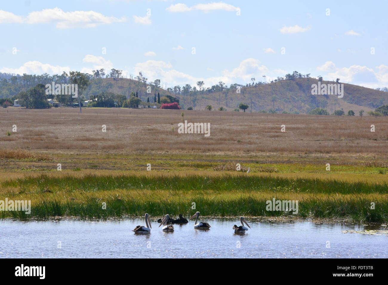 AUSTRALIAN OUTBACK CATTLE STATION Stock Photo - Alamy