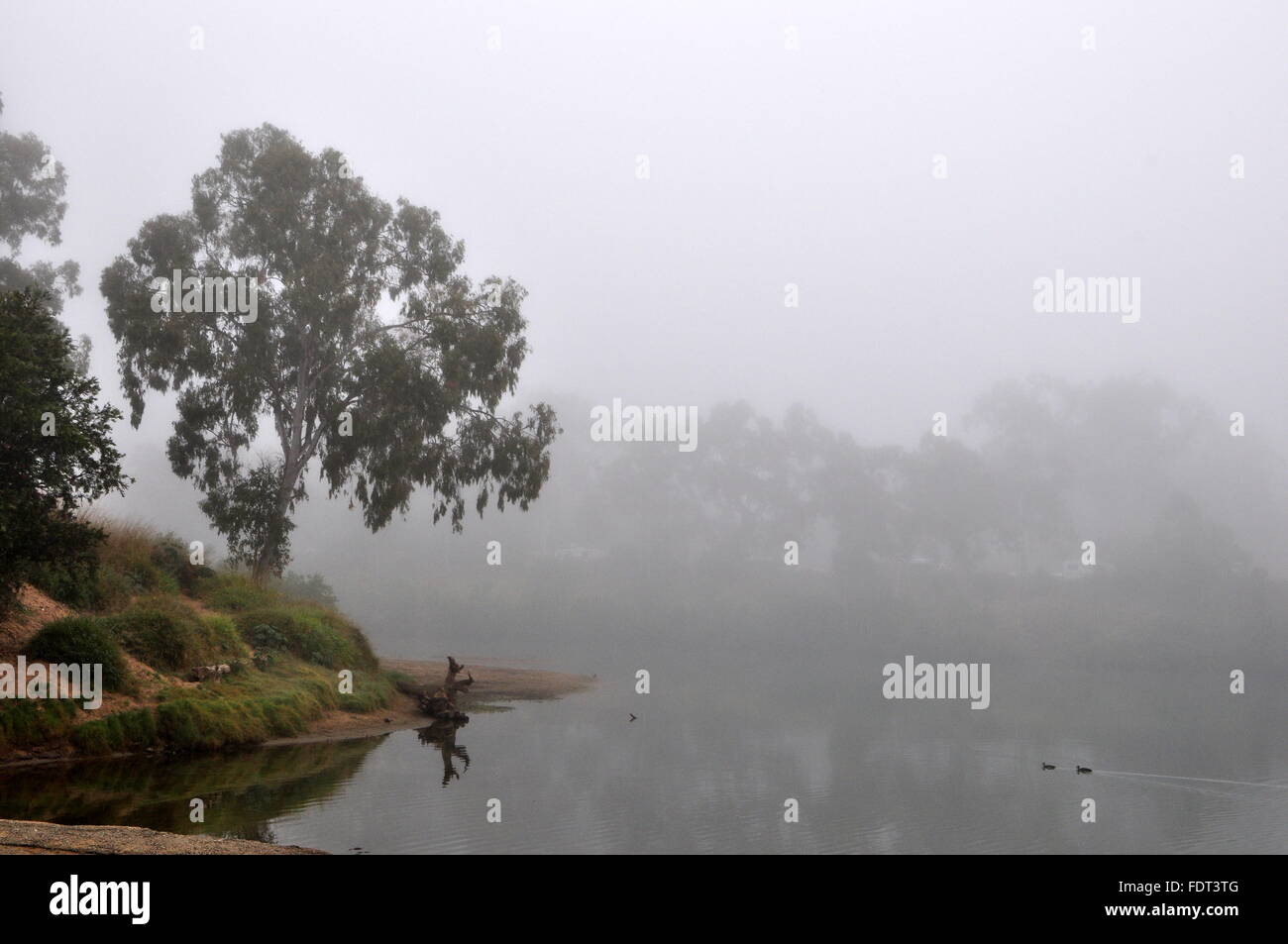 MISTY MORNING ON CALLIOPE RIVER Stock Photo - Alamy
