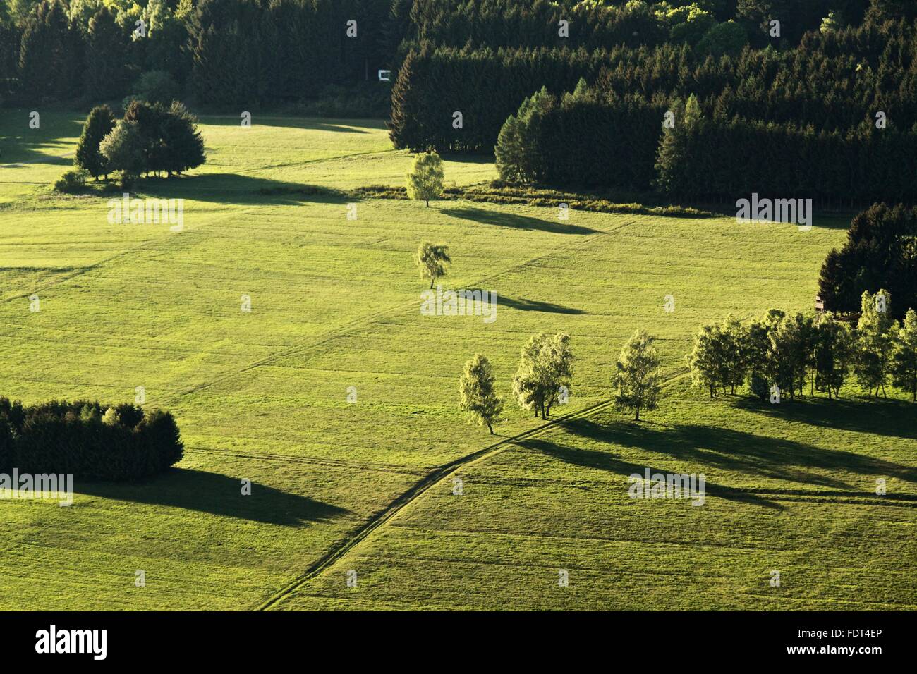 Hesse forest hi-res stock photography and images - Alamy