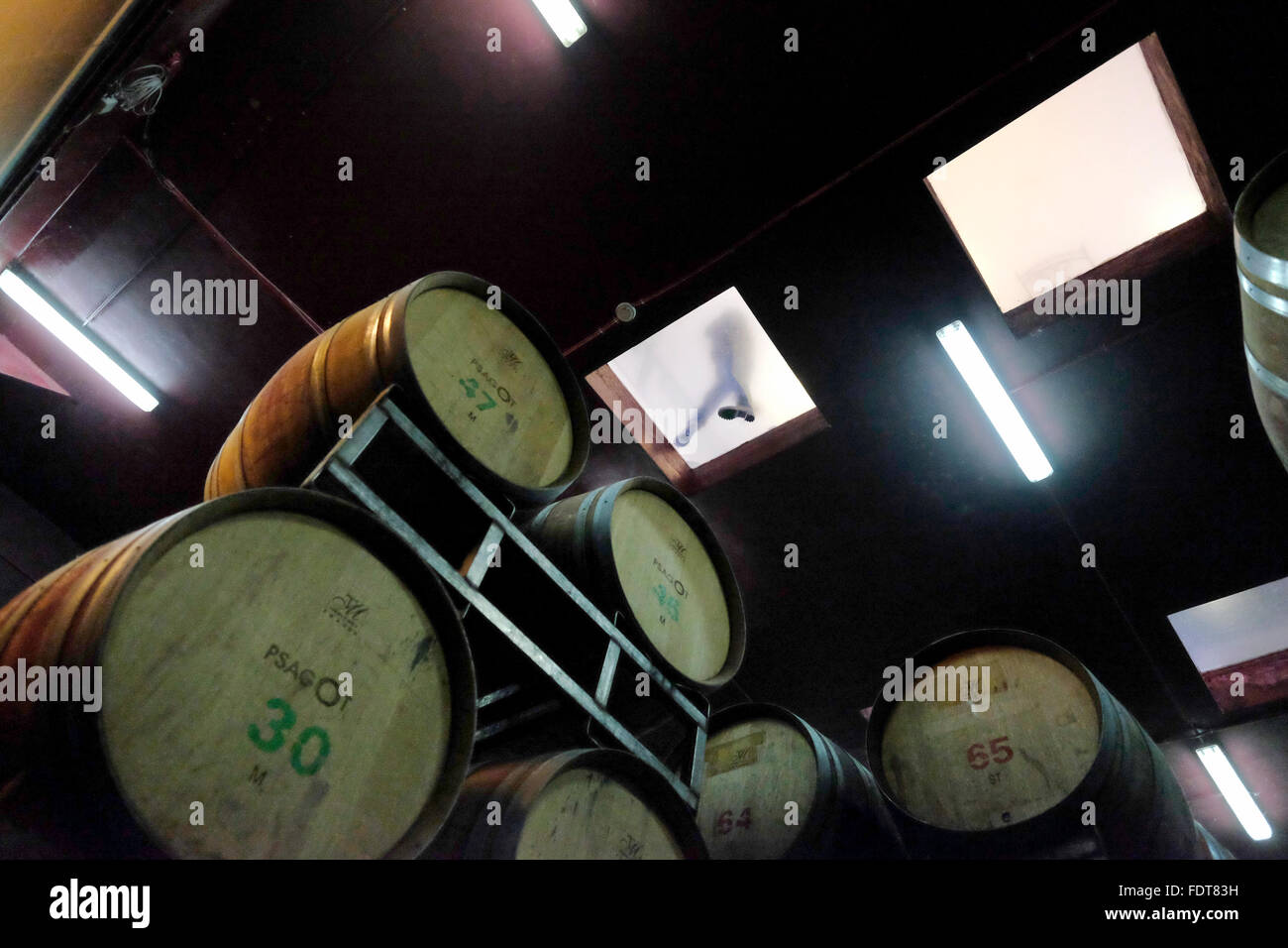 Wine aging in wooden oak casks at the cellar of Psagot winery located ...
