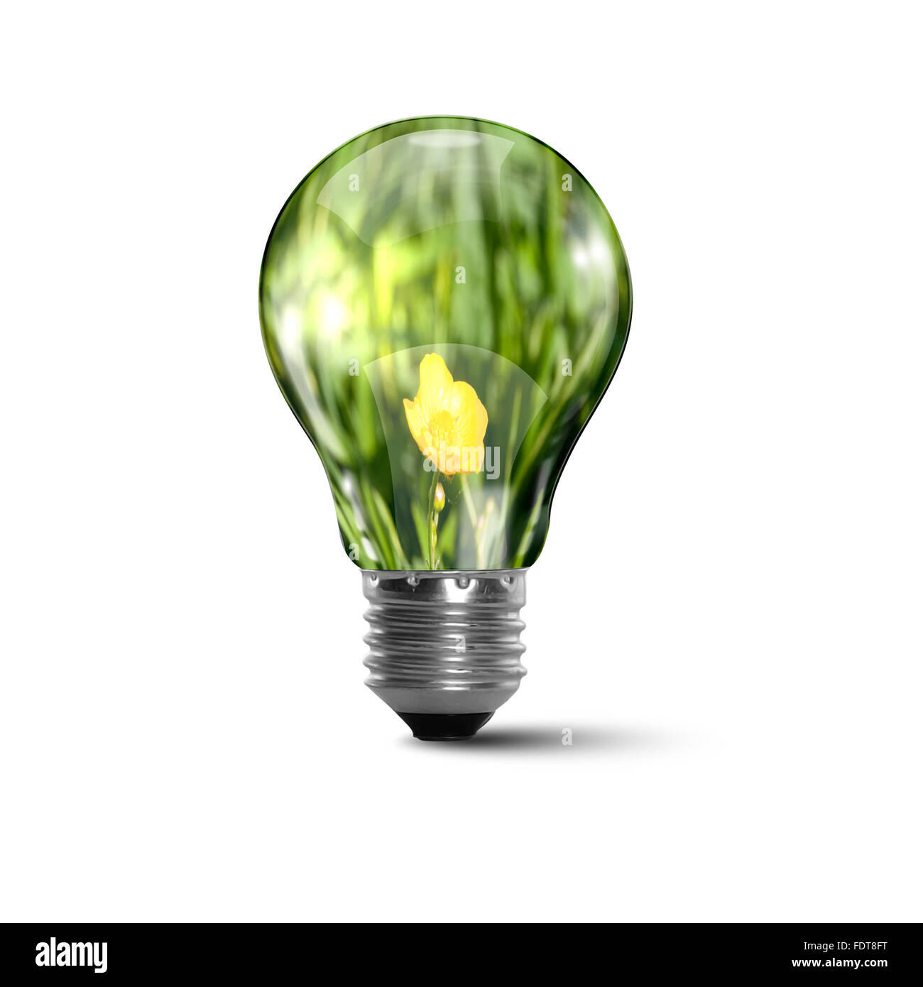 Illustration of an electric light bulb with clean and safe nature ...