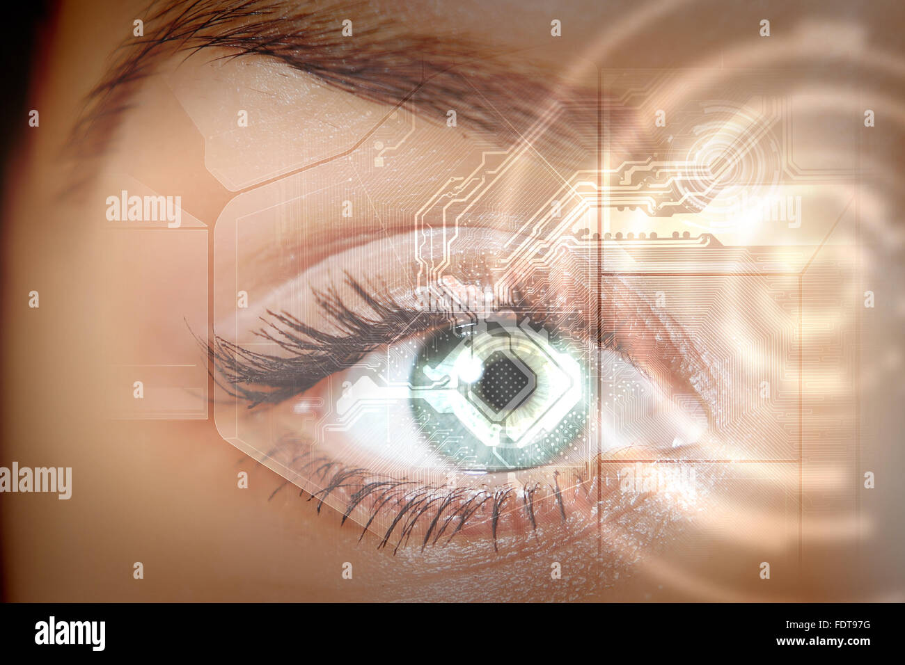 Eye viewing digital information represented by circles and signs Stock ...