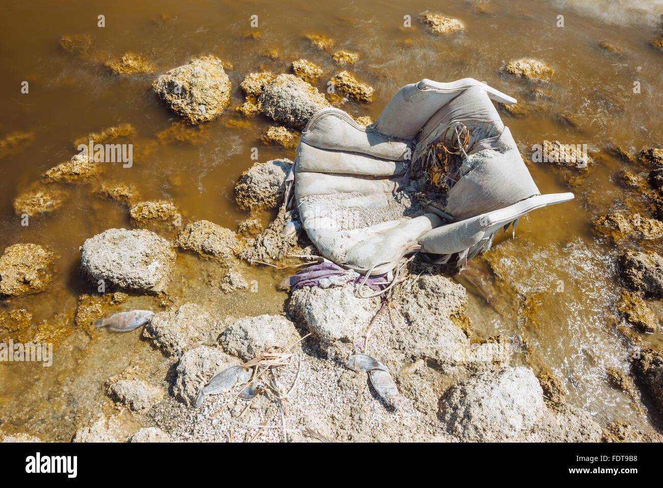 A discarded chair on the western shore of the Salton Sea, California ...