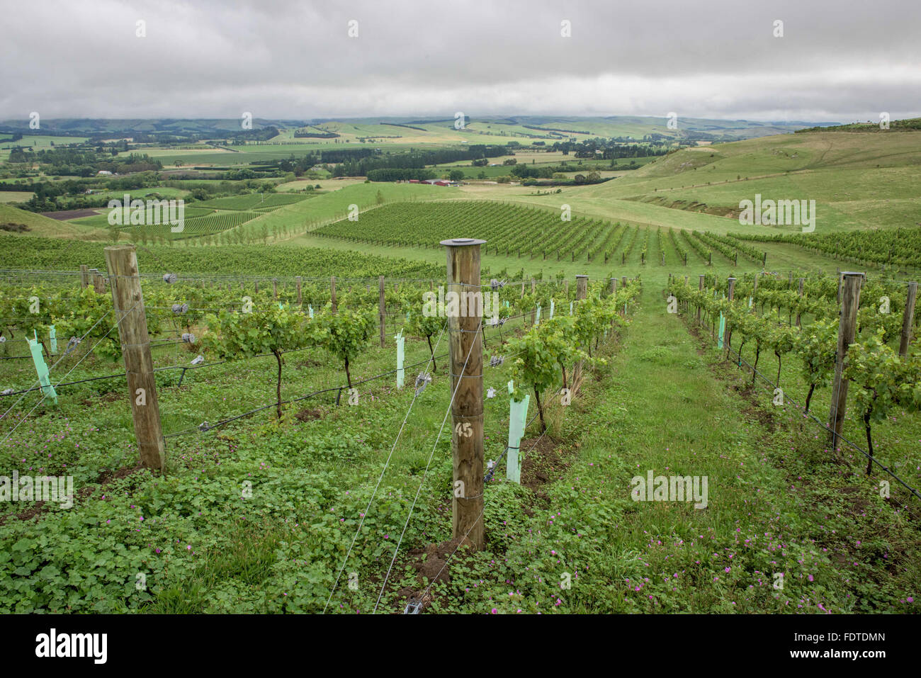 North canterbury and waipara hi-res stock photography and images - Alamy