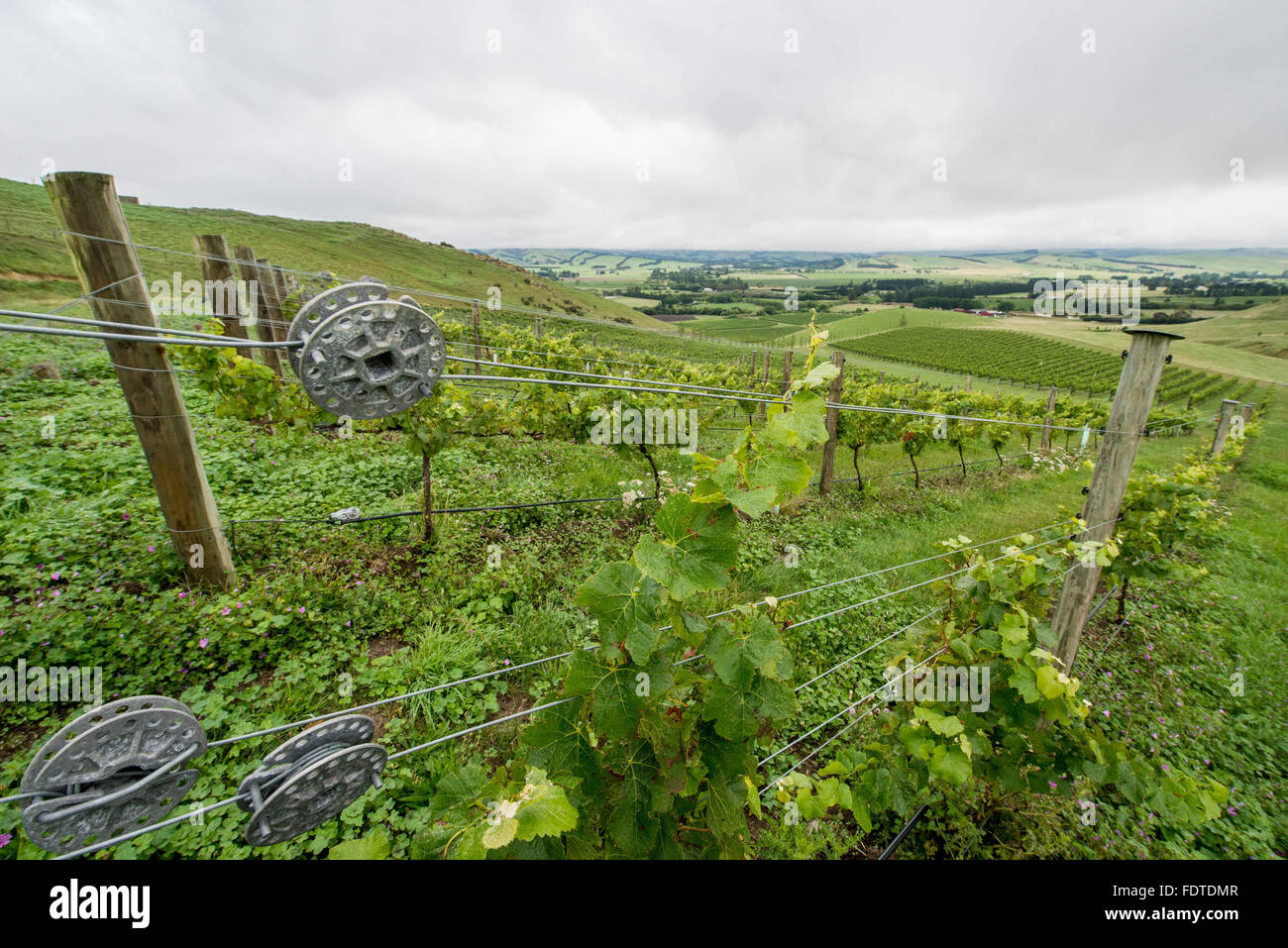 North canterbury and waipara hi-res stock photography and images - Alamy