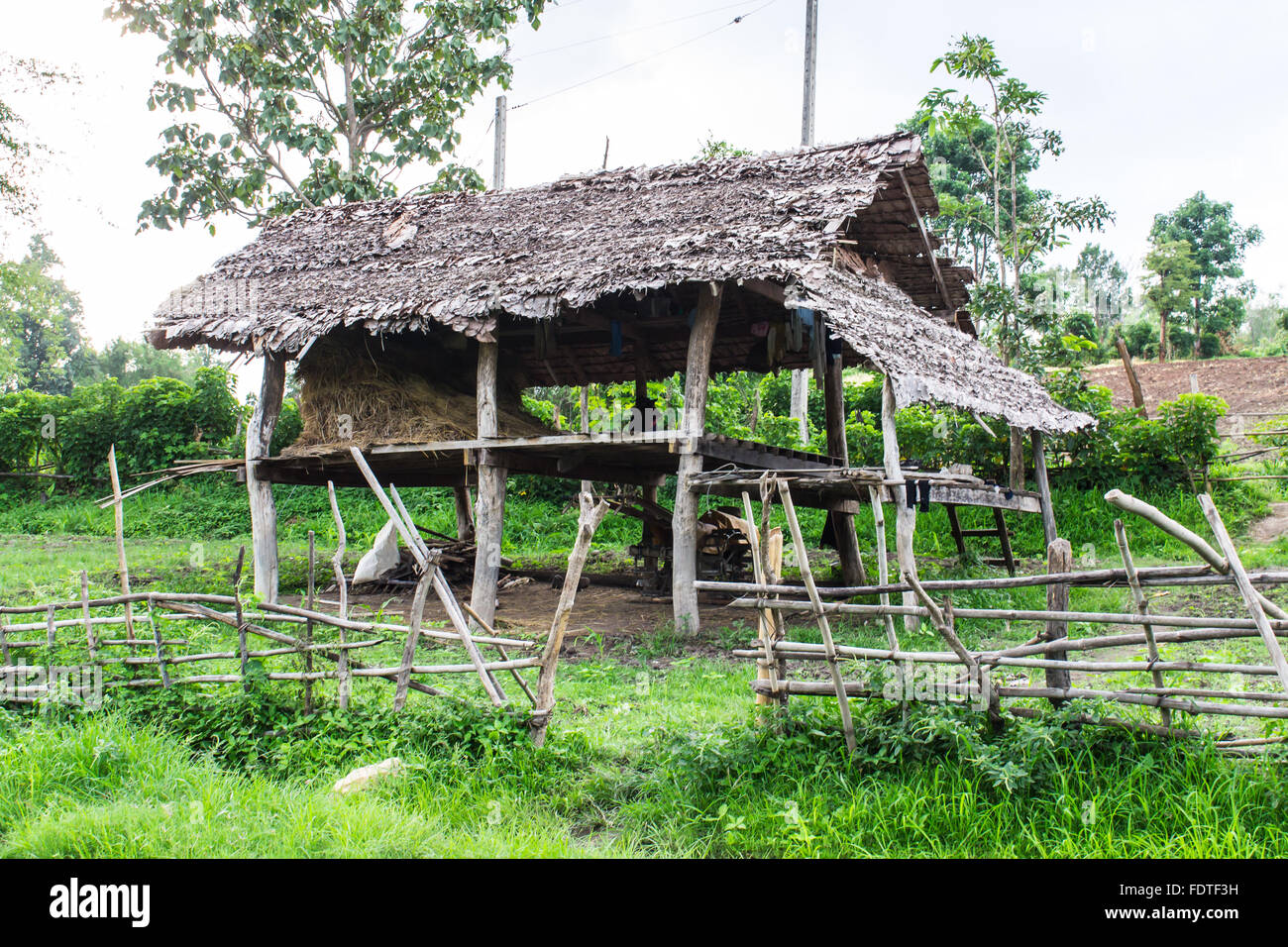 Hut in countryside, Thailand Stock Photo - Alamy