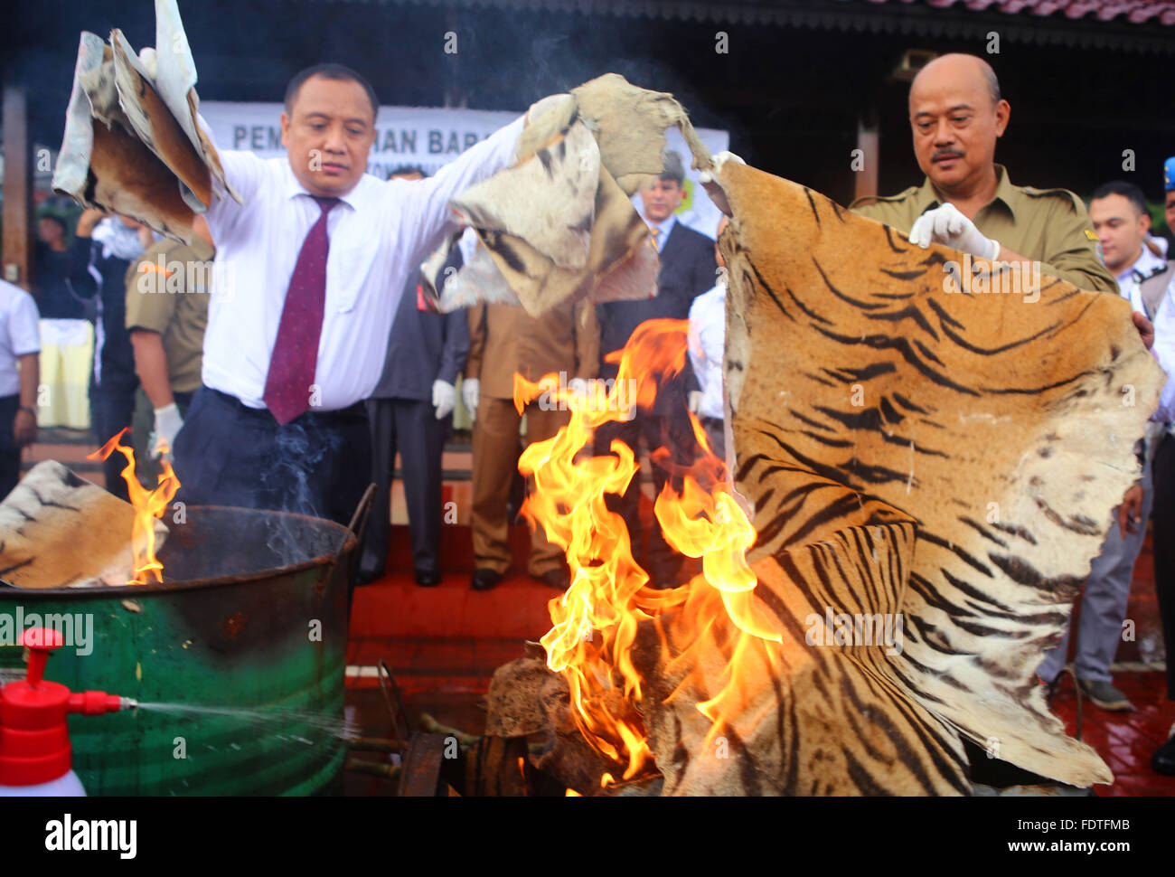 Illegal trade body parts hi-res stock photography and images - Alamy