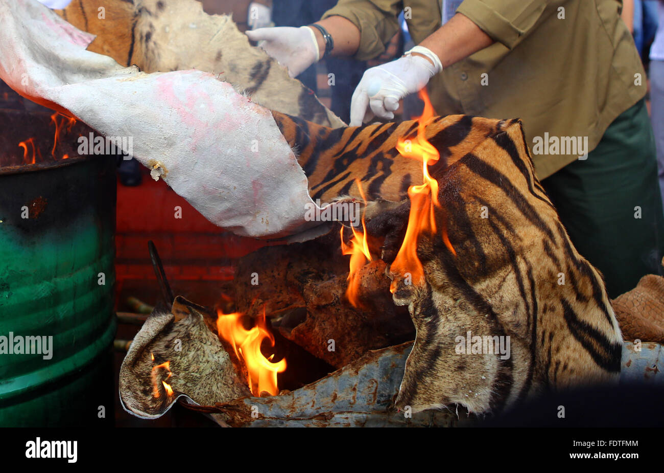 Jakarta, Indonesia. 02nd Feb, 2016. Government authorities destroy the ...