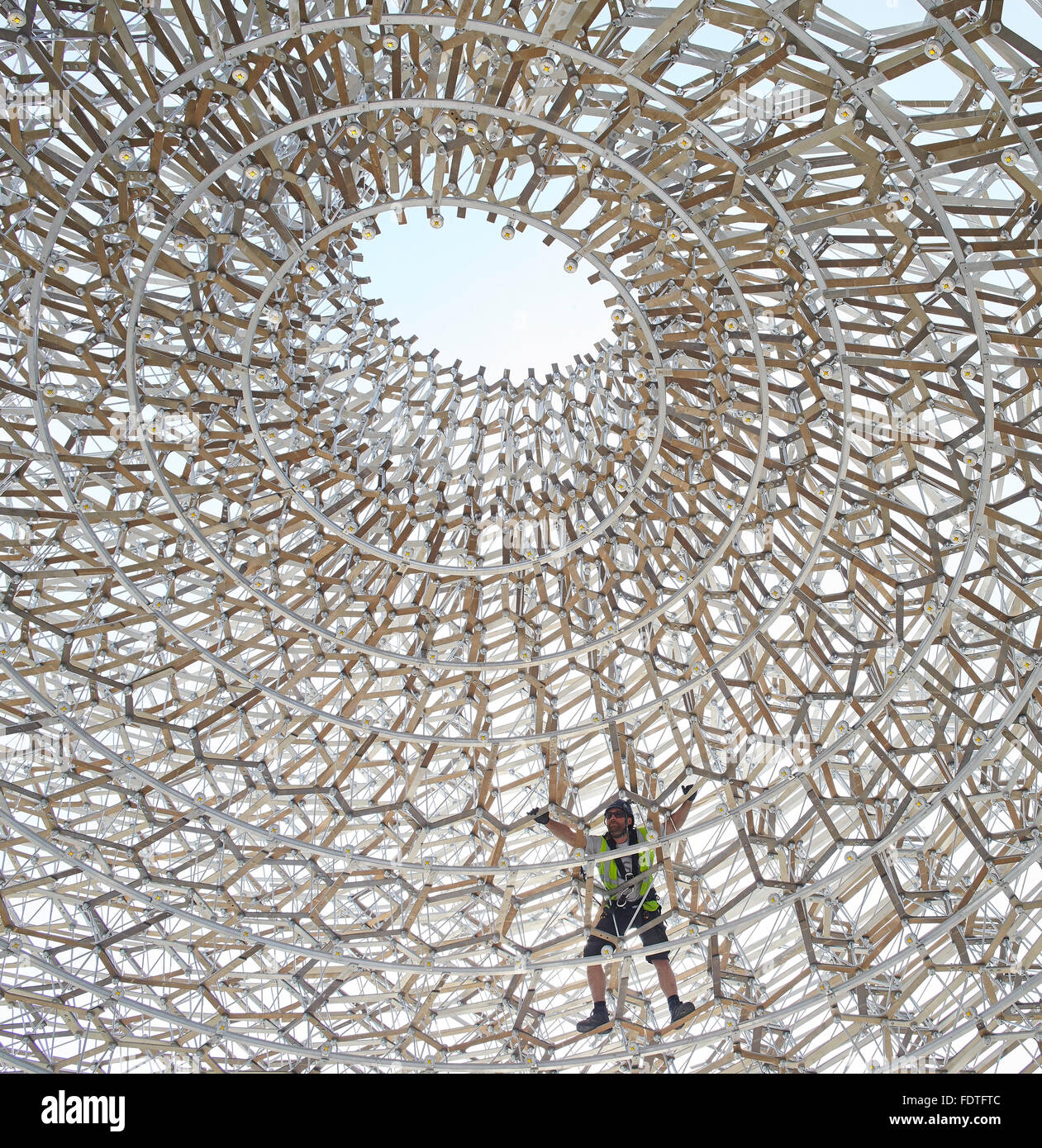 Circular aluminium lattice structure viewed from below. Milan Expo 2015 ...