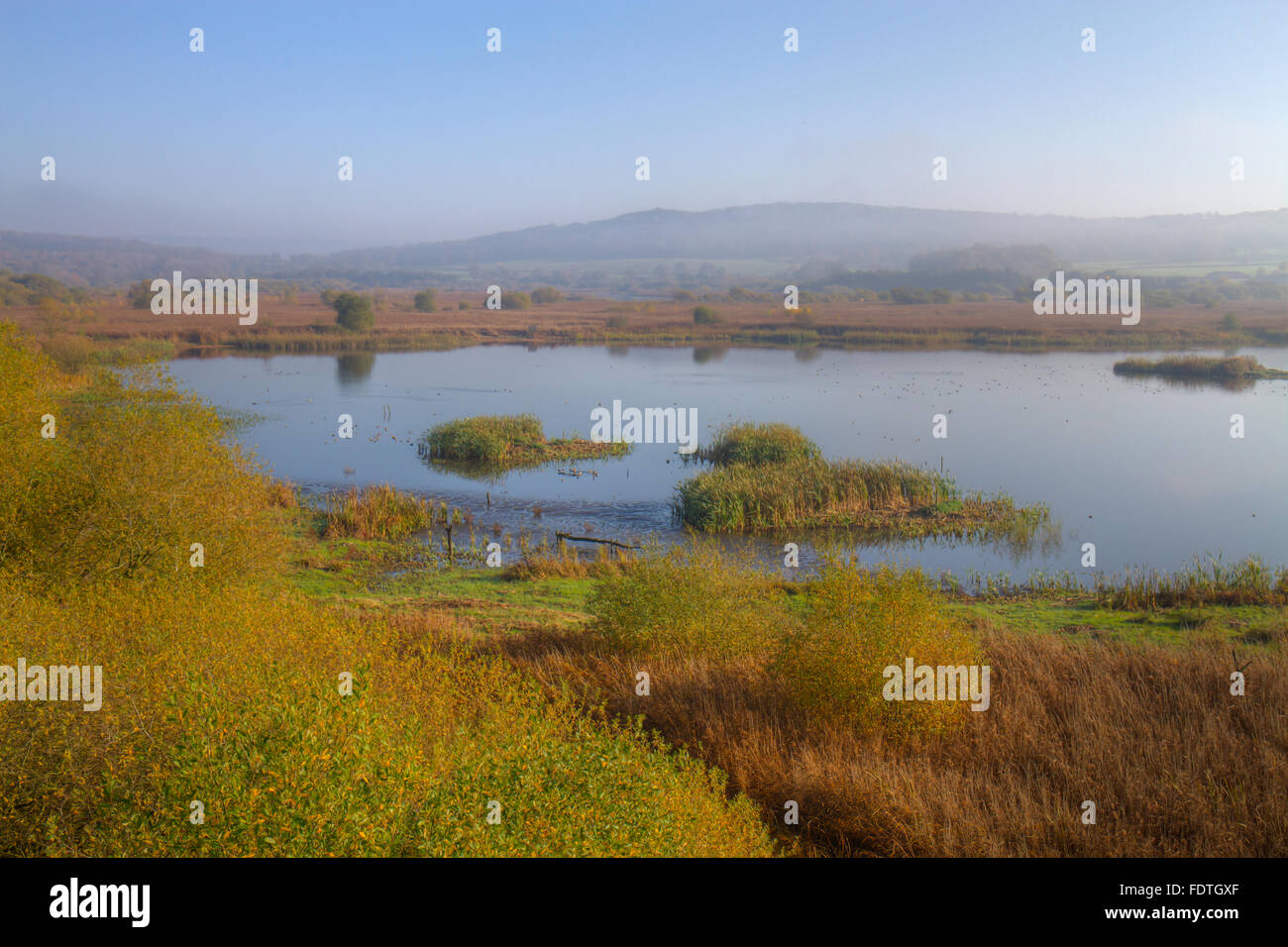 Leighton moss rspb reserve hi-res stock photography and images - Alamy