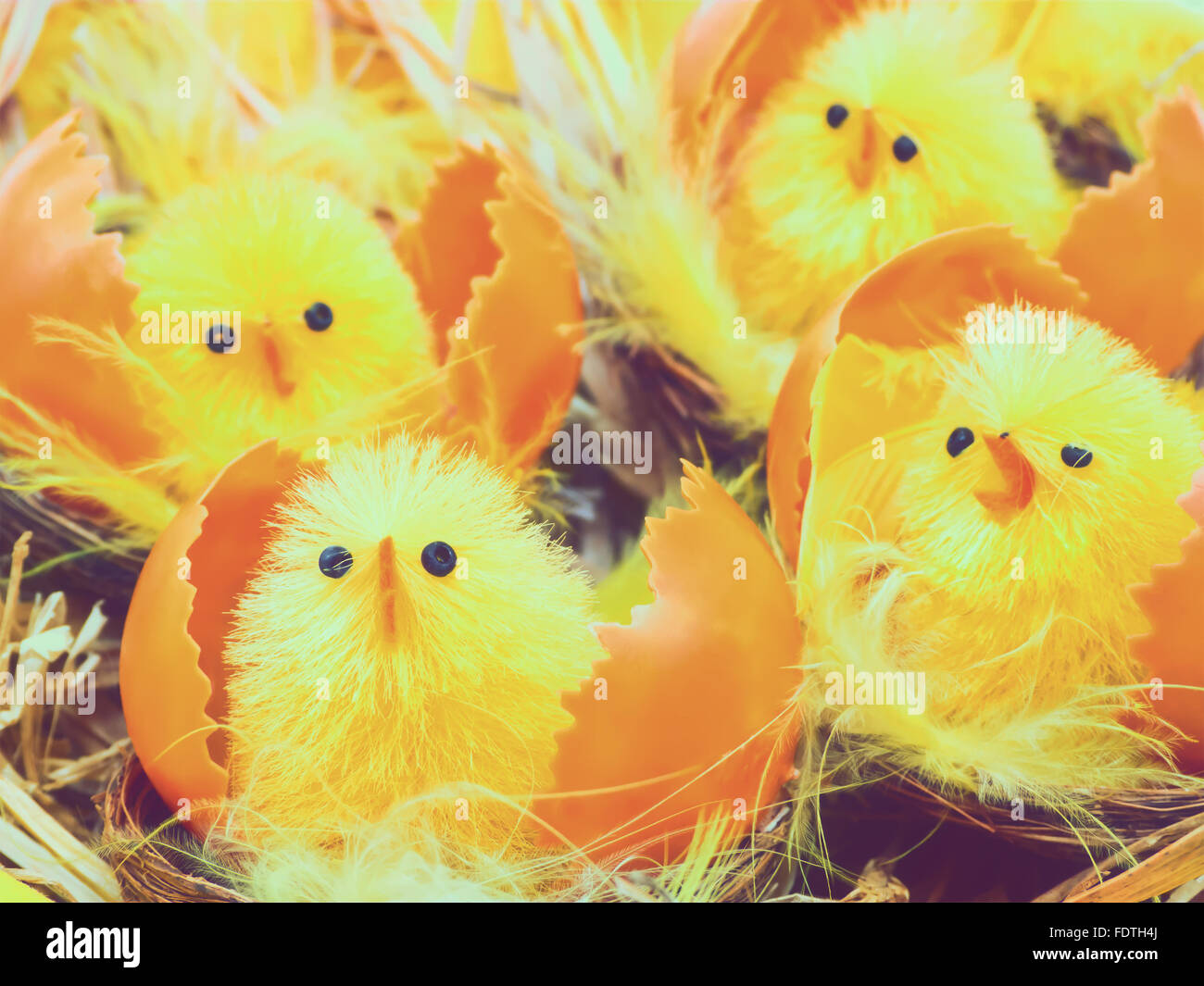 Easter chicks hi-res stock photography and images - Alamy