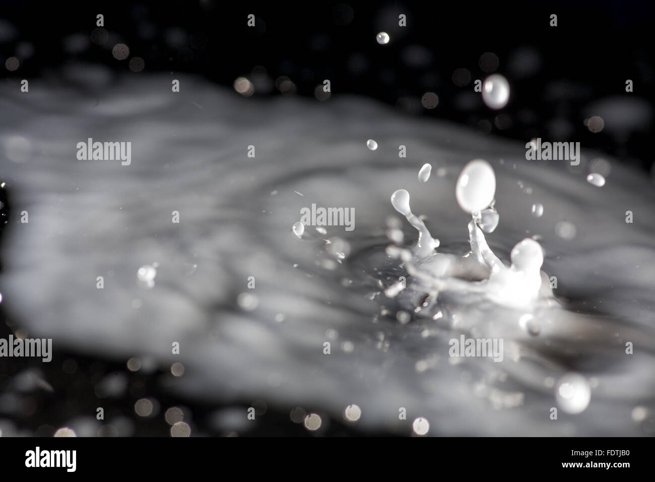 Drops of milk levitating. Milk drops falling down. Splashing milk Stock ...