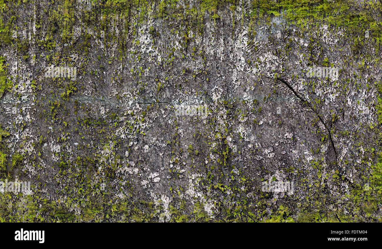 Texture of old rock wall for background Stock Photo - Alamy