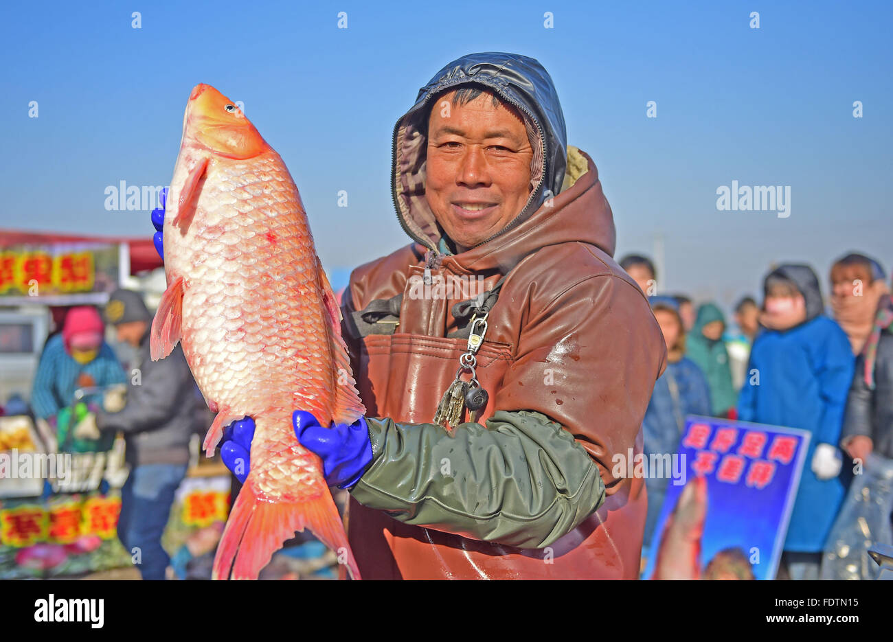 Red carp hi-res stock photography and images - Alamy