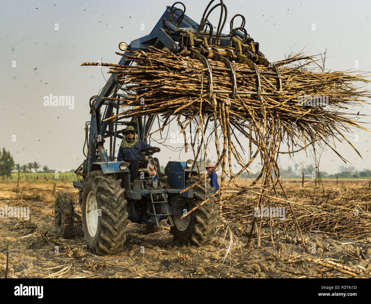 Sugar cane loader hi-res stock photography and images - Alamy