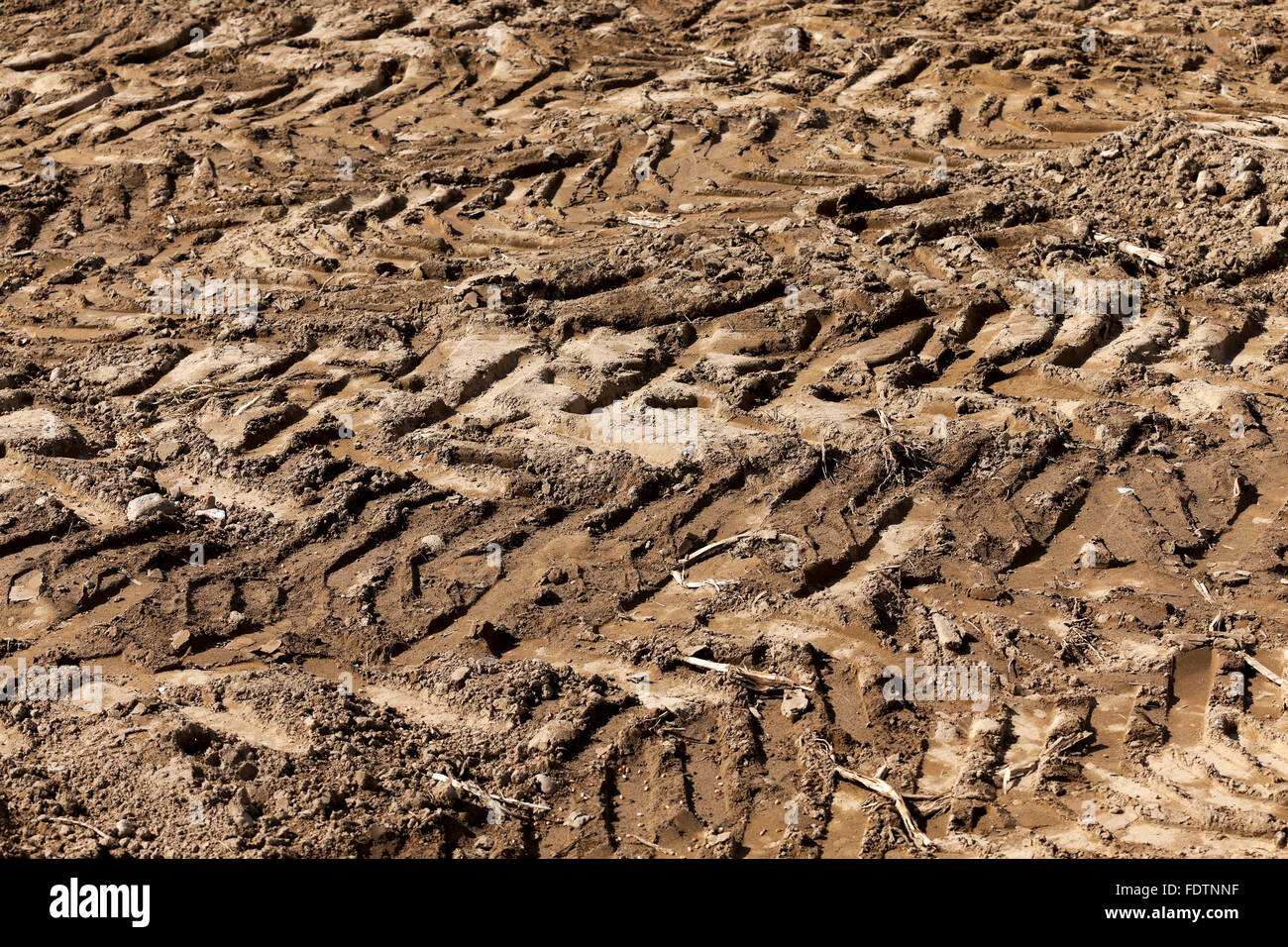 lying on the ground grain Stock Photo - Alamy