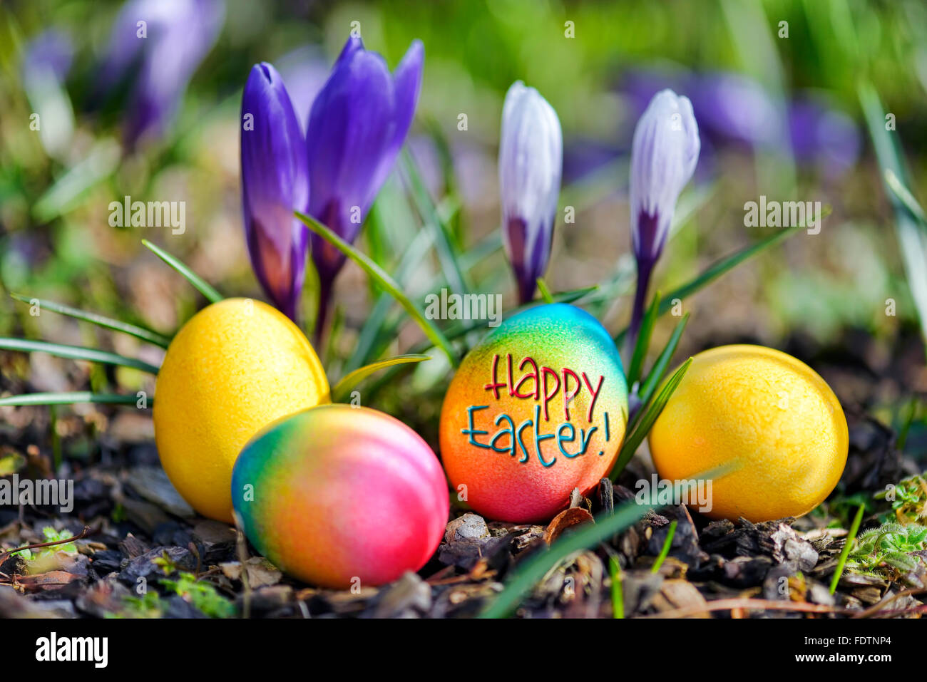 Happy easter holidays hi-res stock photography and images - Alamy