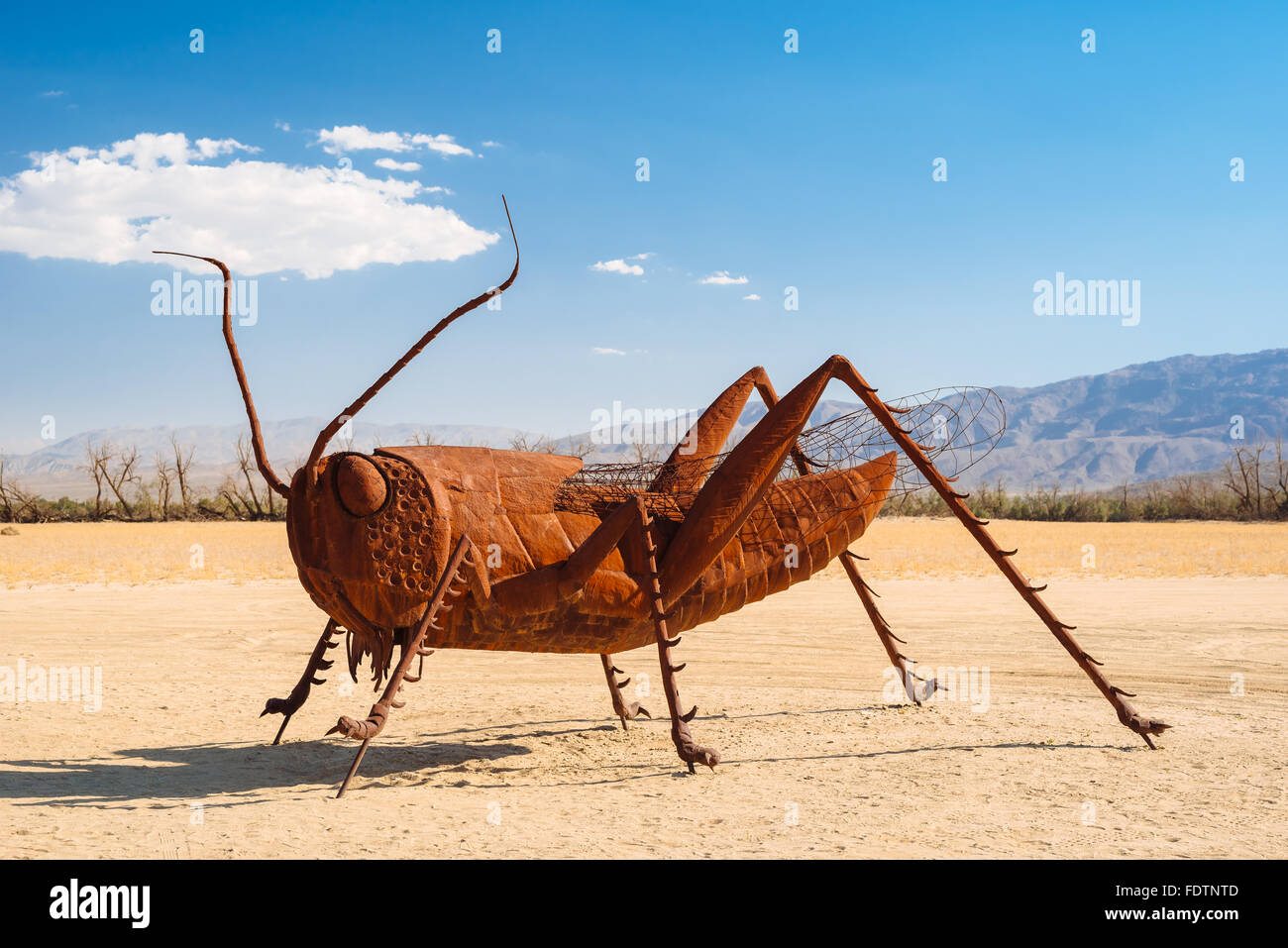 A metal sculpture by artist Ricardo Breceda in Borrego Springs ...