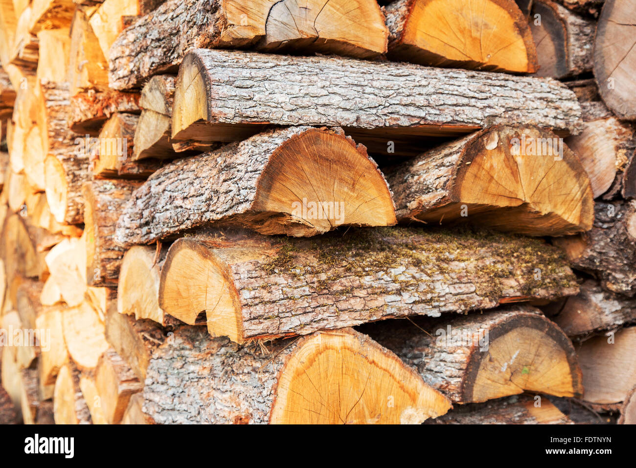 Cross section timber section hi-res stock photography and images - Alamy