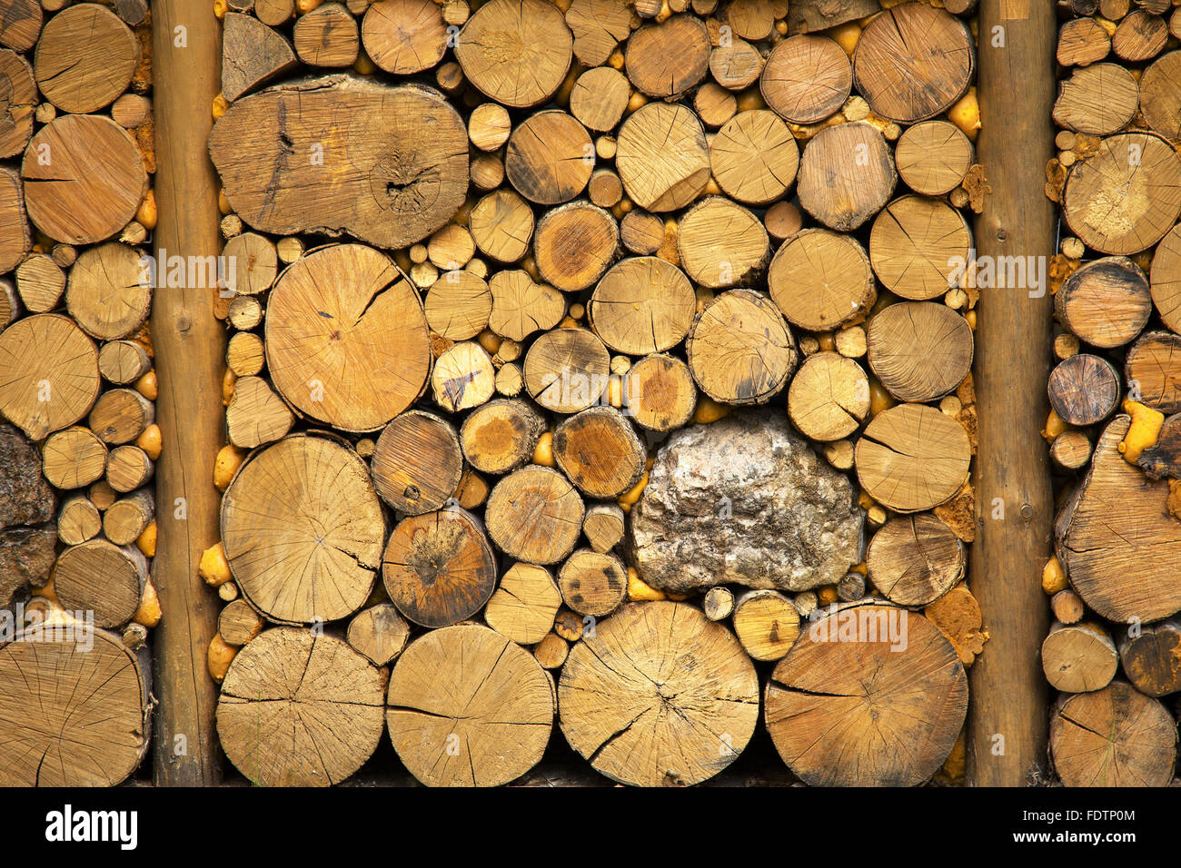 Cross section of the timber for the background Stock Photo - Alamy
