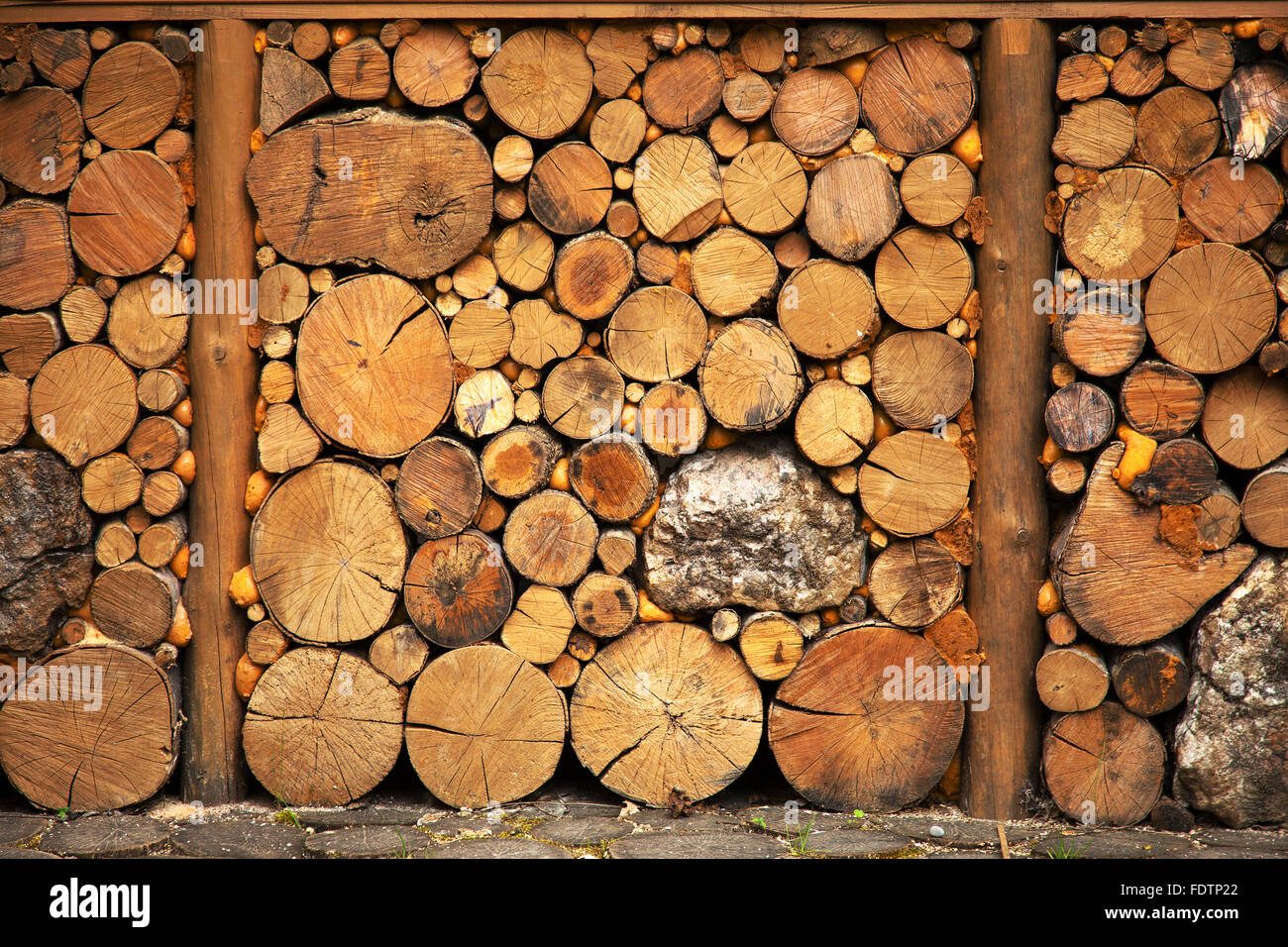 Cross section of the timber for the background Stock Photo - Alamy