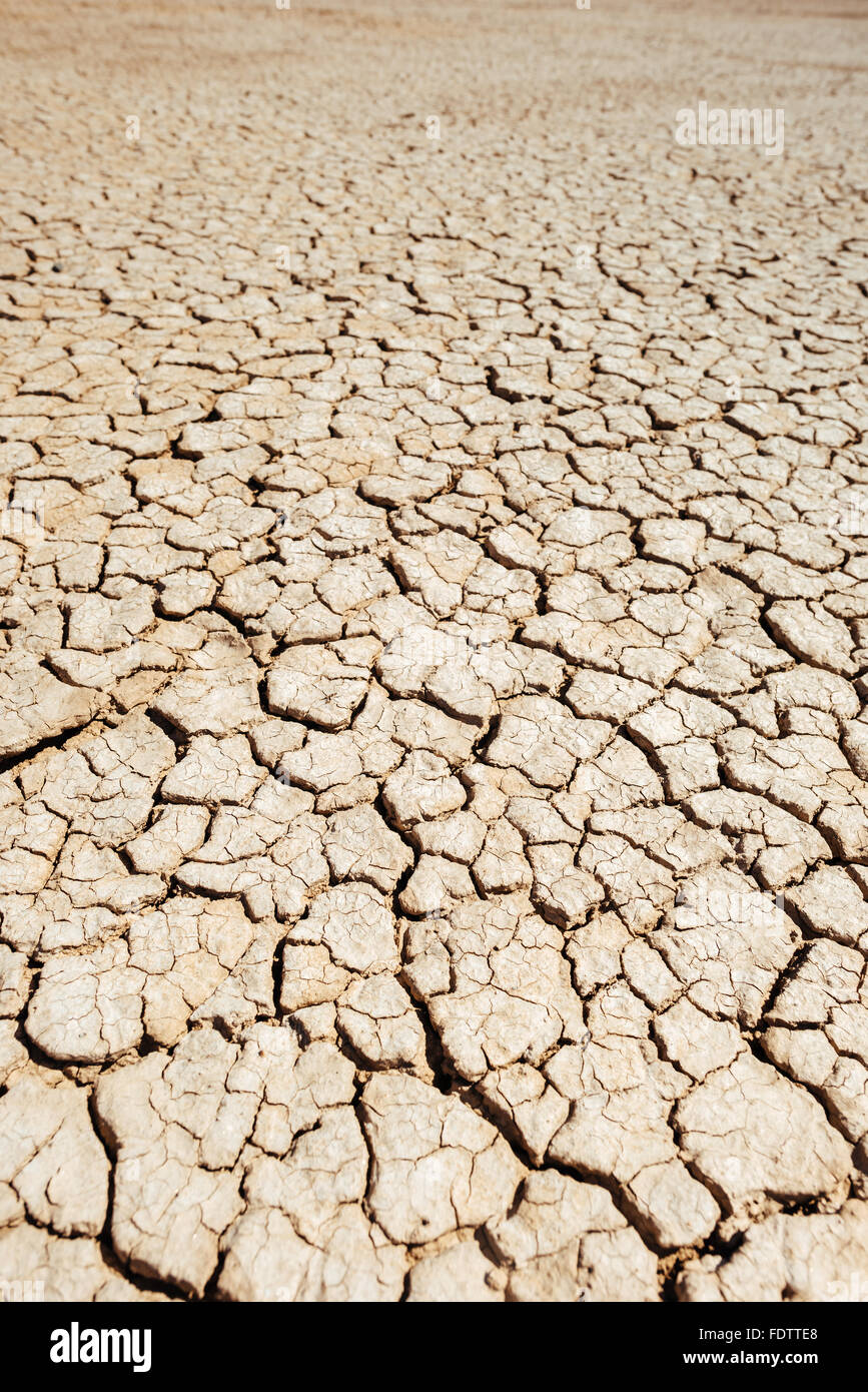 Dry, cracked mud in Clark Dry Lake in Anza-Borrego Desert State Park ...