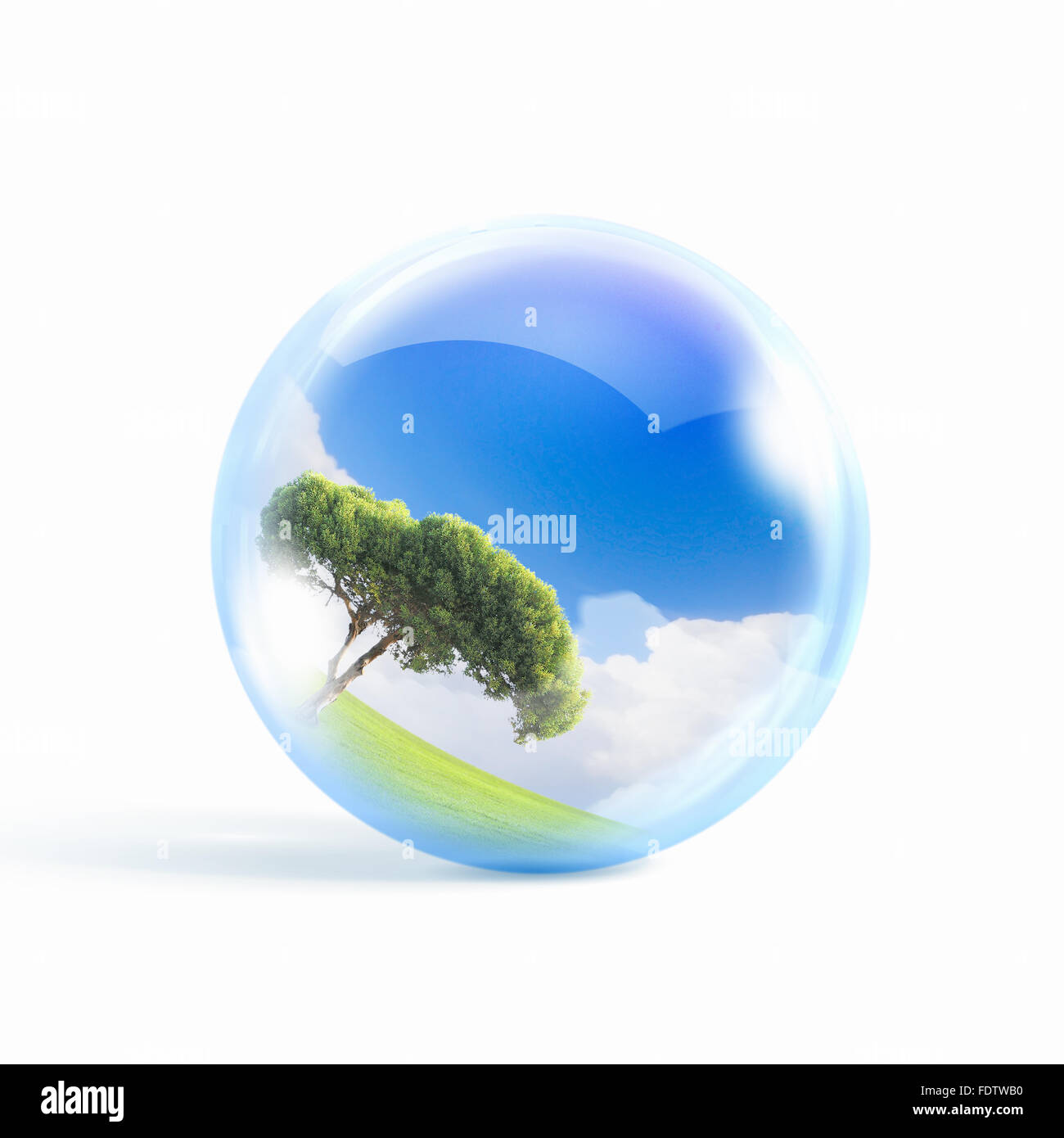 A green tree inside a transparent glass sphere Stock Photo - Alamy